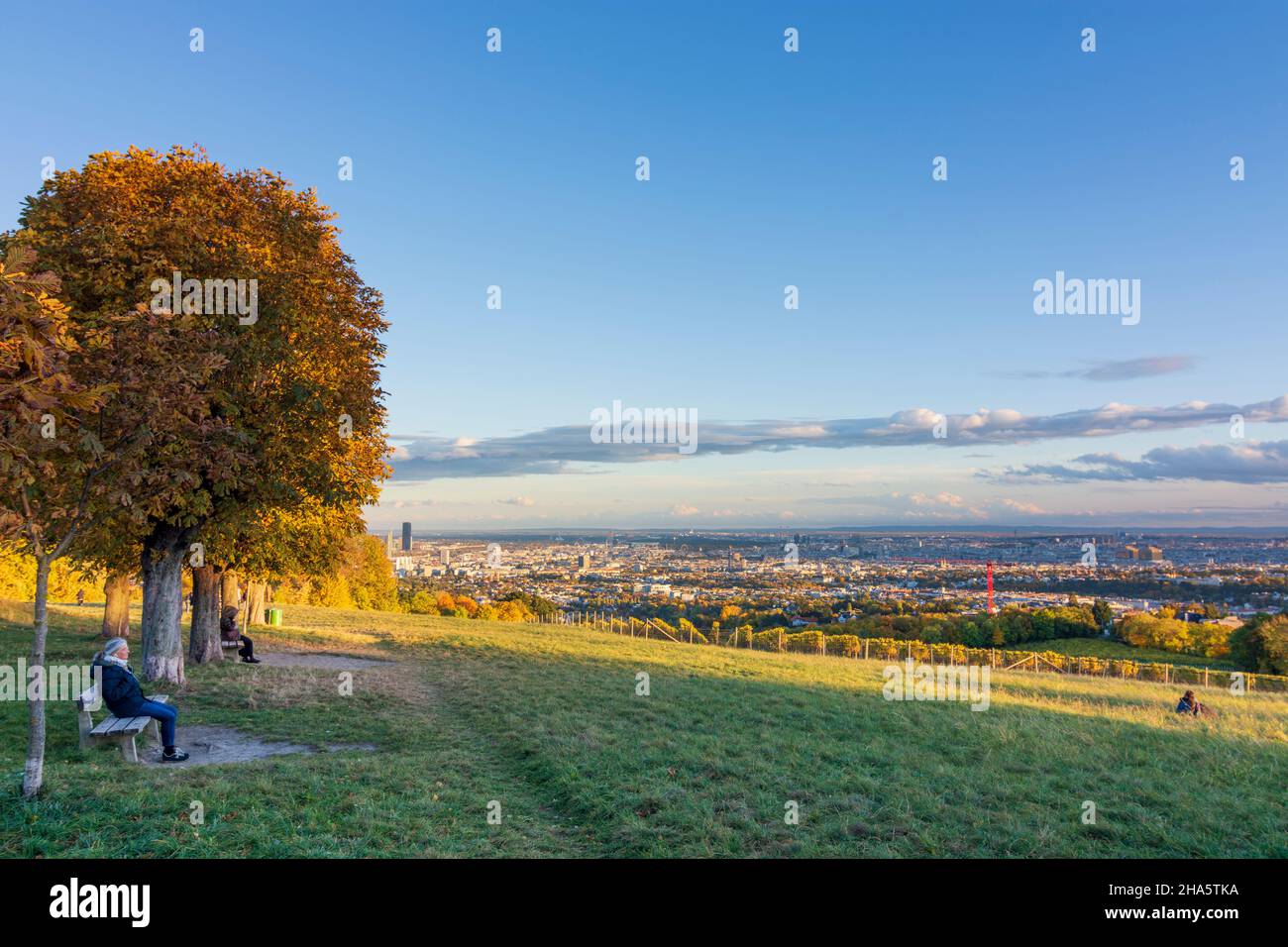 Bellevuewiese hi-res stock photography and images - Alamy