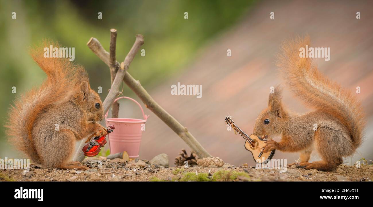 Music instruments hi-res stock photography and images - Alamy