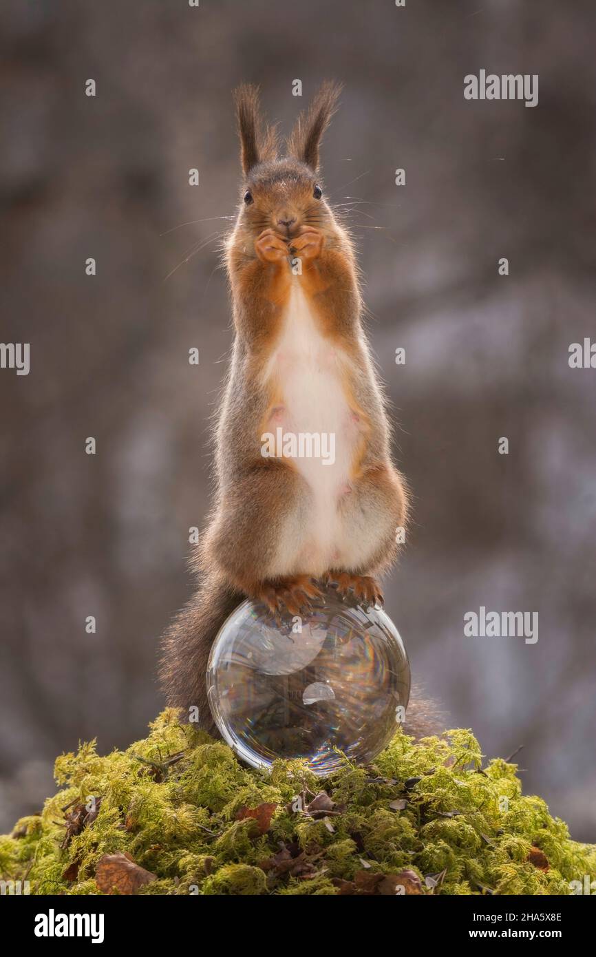 Krystal ball hi-res stock photography and images - Alamy