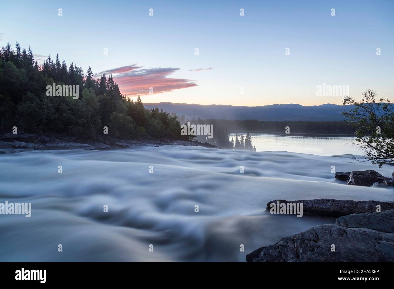 Forest landscape with rocks hi-res stock photography and images - Alamy