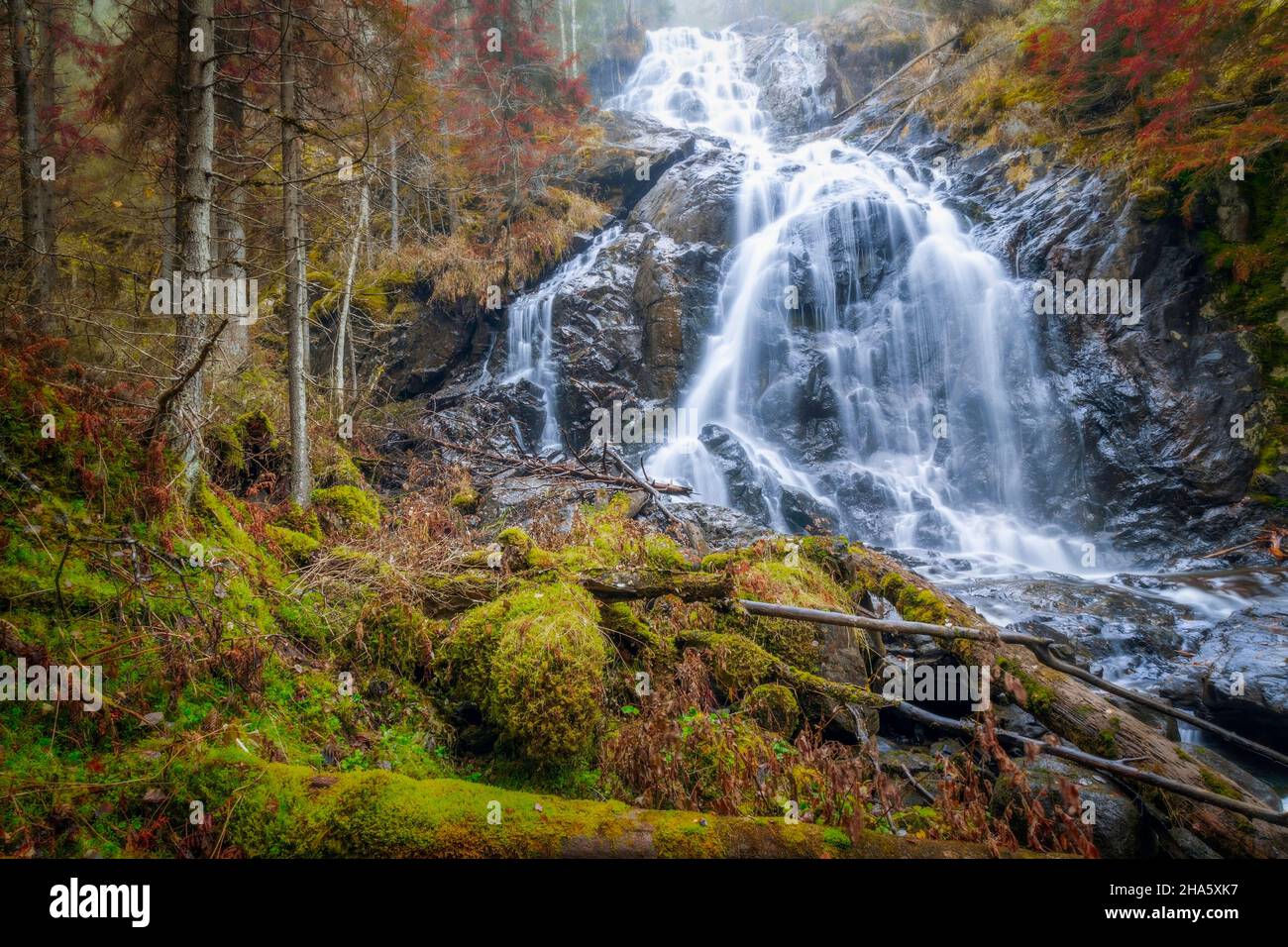 fallen trees in front of a waterfall Stock Photo - Alamy