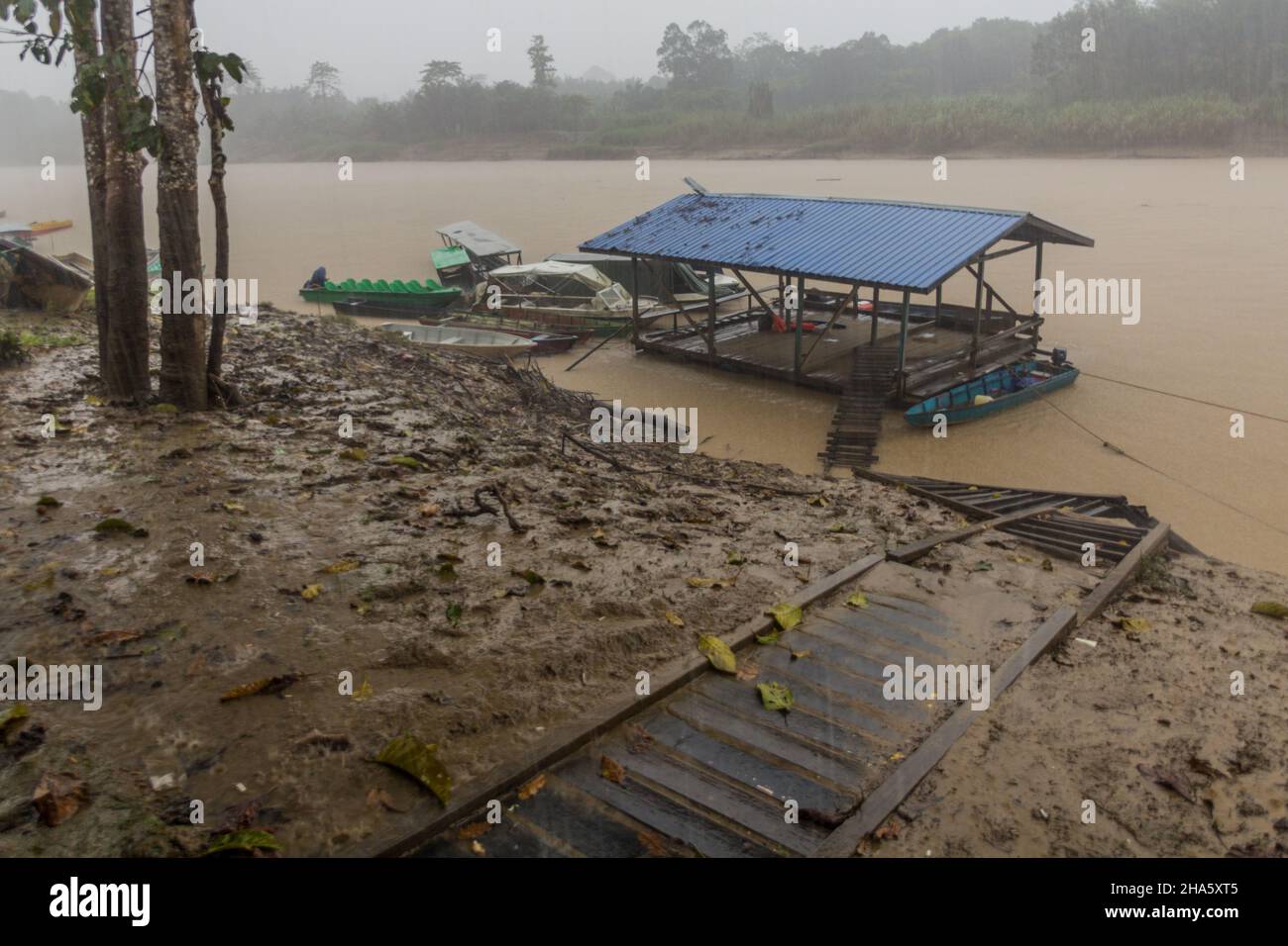 Floating platform on Kinabatangan river in a heavy rain, Sabah ...