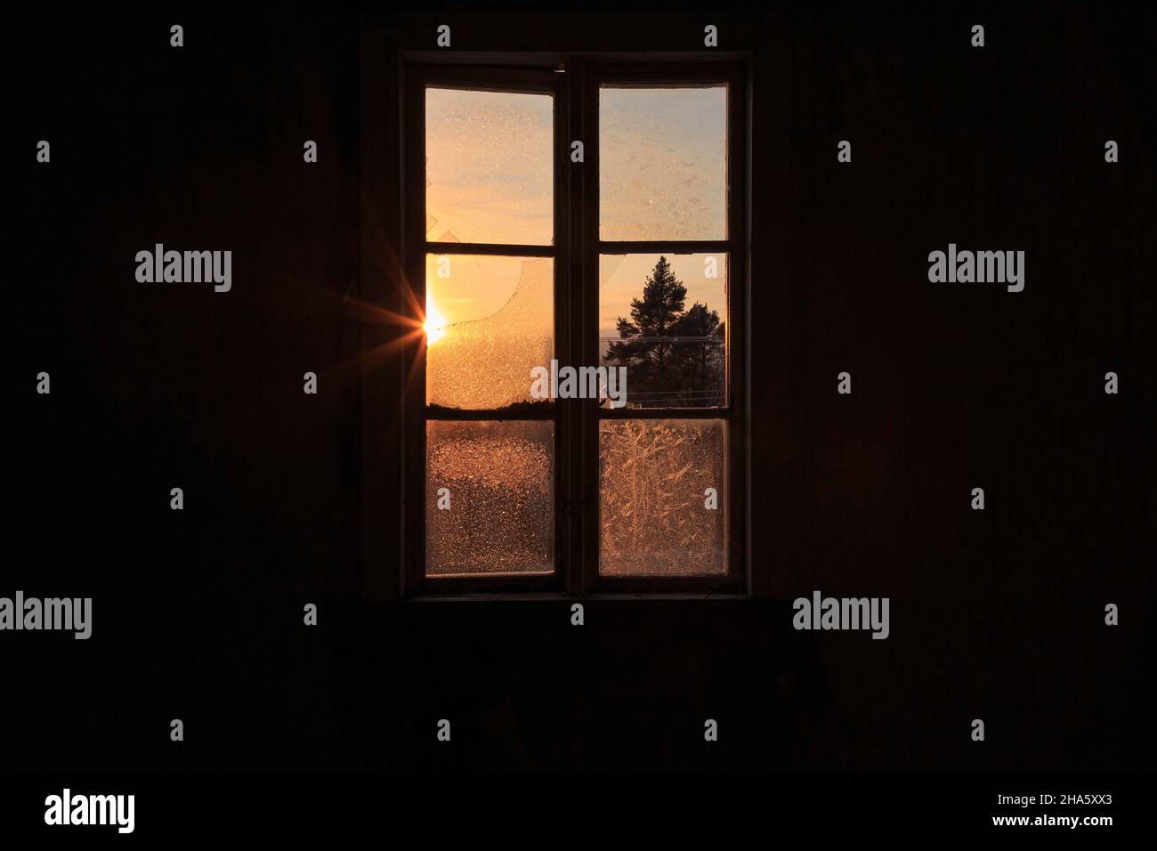 Tree windows hi-res stock photography and images - Alamy