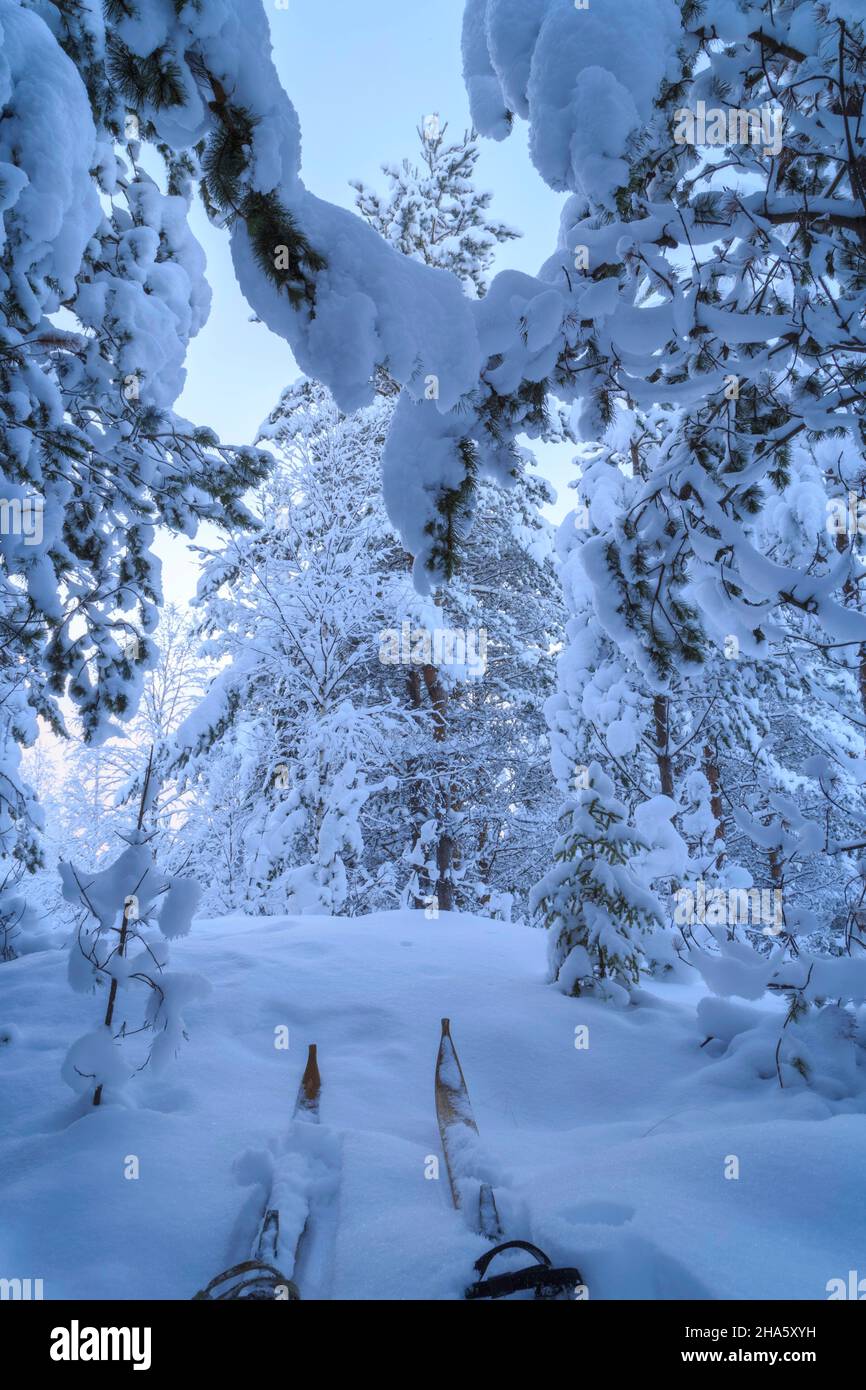Swedish winter sunset hi-res stock photography and images - Alamy