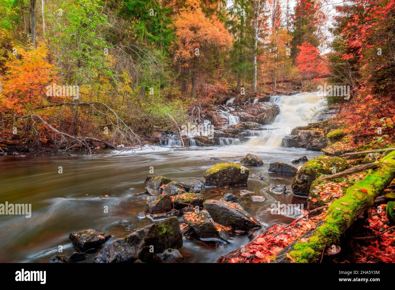 Leaves rocks river autumn hi-res stock photography and images - Alamy