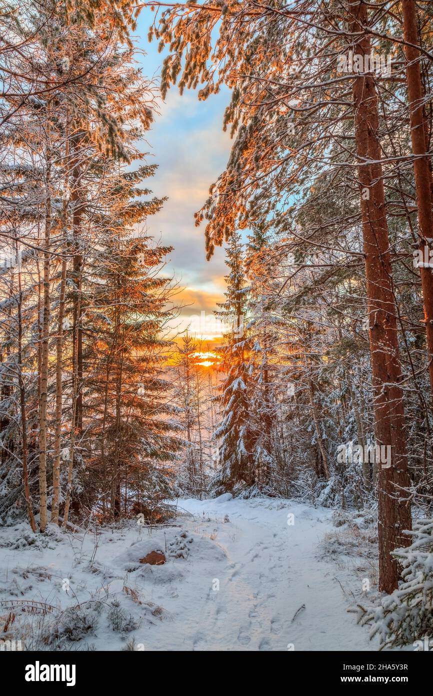 Path with snow hi-res stock photography and images - Alamy