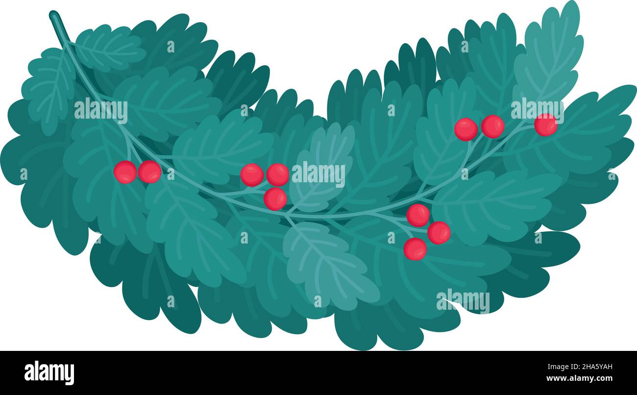 mistletoe branch illustration Stock Vector Image & Art - Alamy