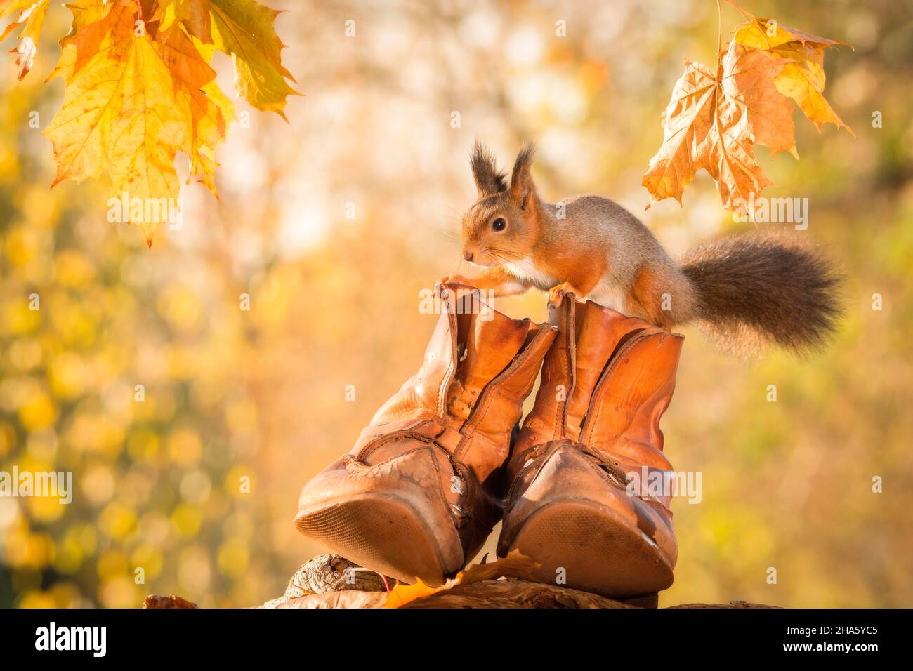 Shoes on the ground hi-res stock photography and images - Alamy