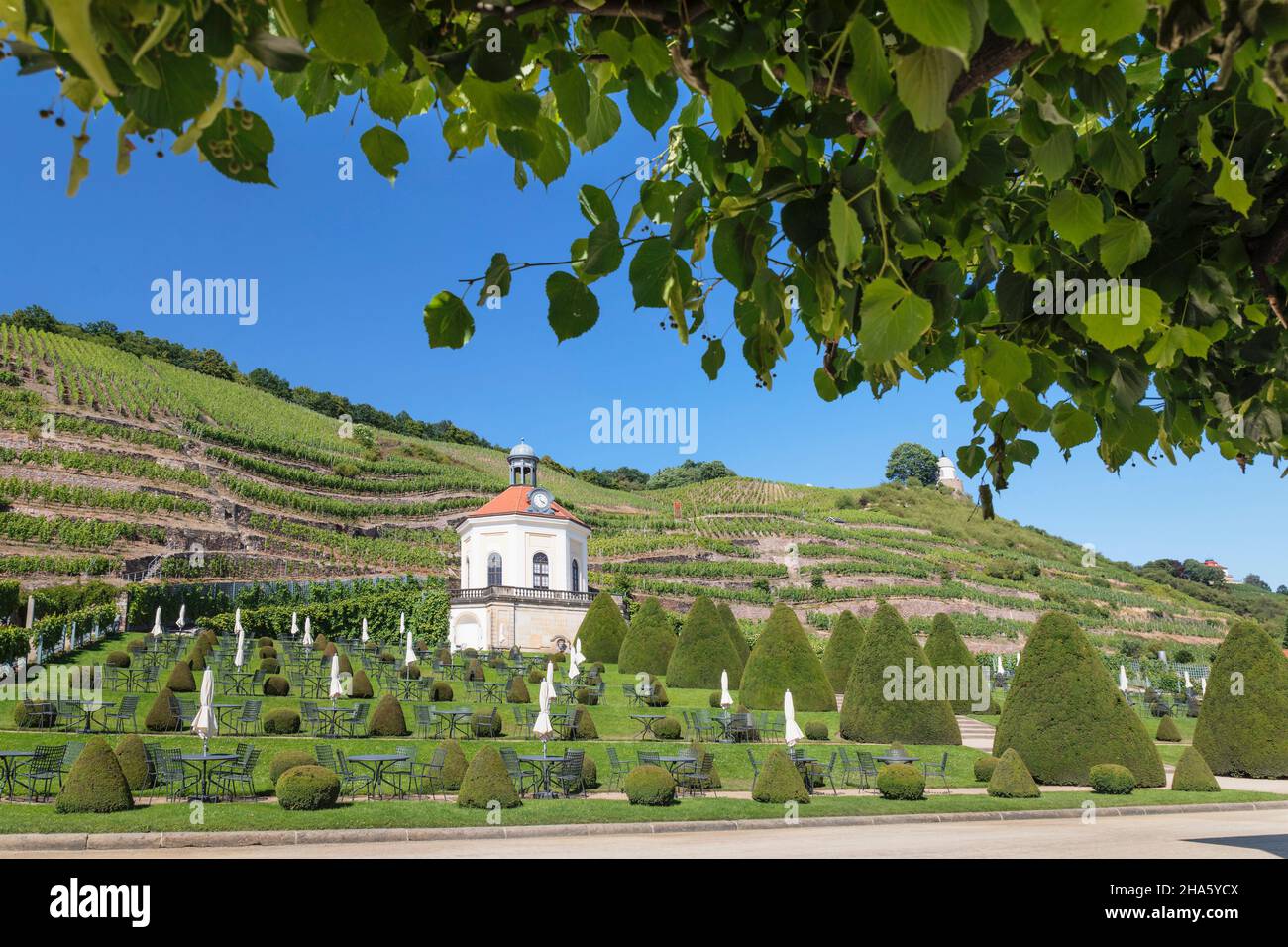 belvedere with a view to jacobstein,wackerbarth castle,niederlößnitz ...