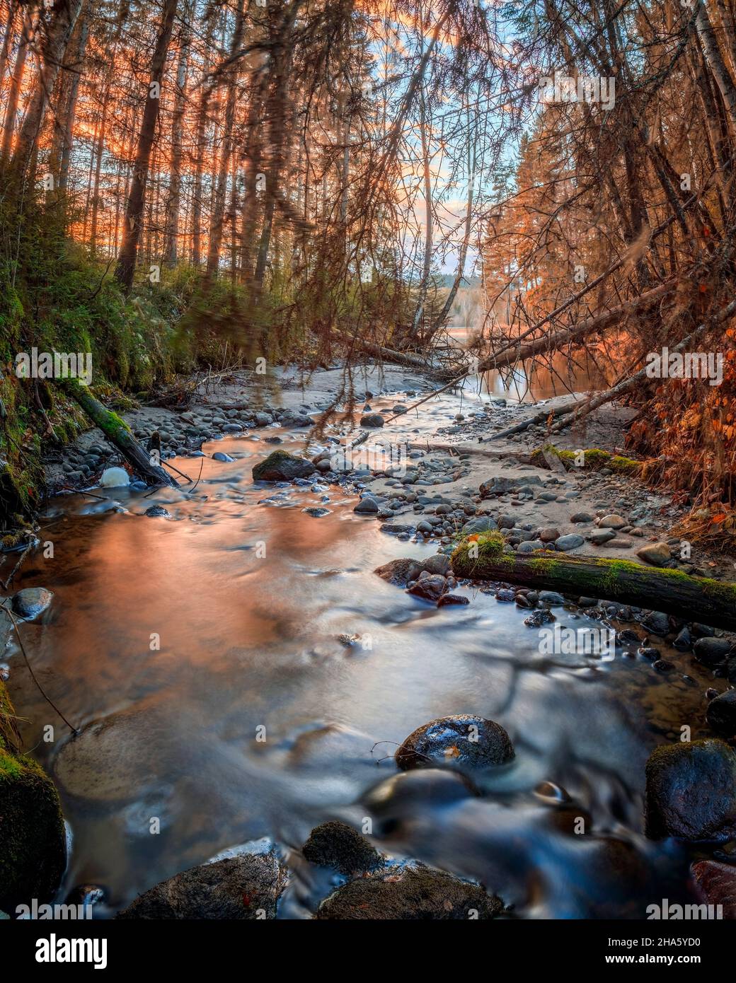 River of rocks hi-res stock photography and images - Alamy
