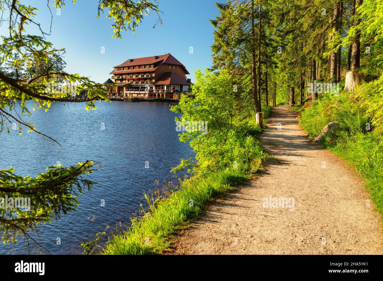 view over the mummelsee to the berghotel mummelsee,black forest ...