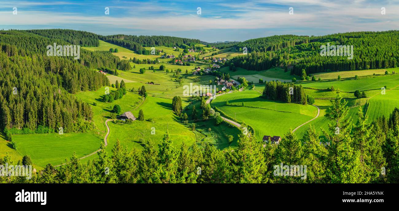 black forest landscape near schluchsee,southern black forest,baden ...