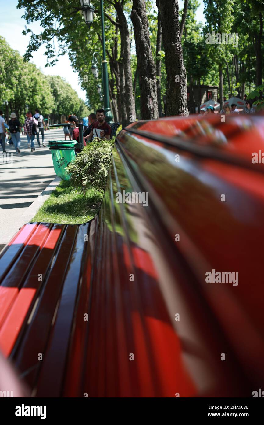beautiful large green park with many trees and flora Stock Photo - Alamy
