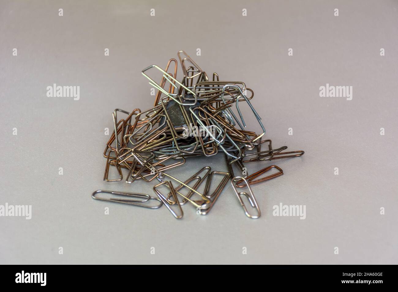 Closeup shot of paperclips attached to a magnet on a white background ...
