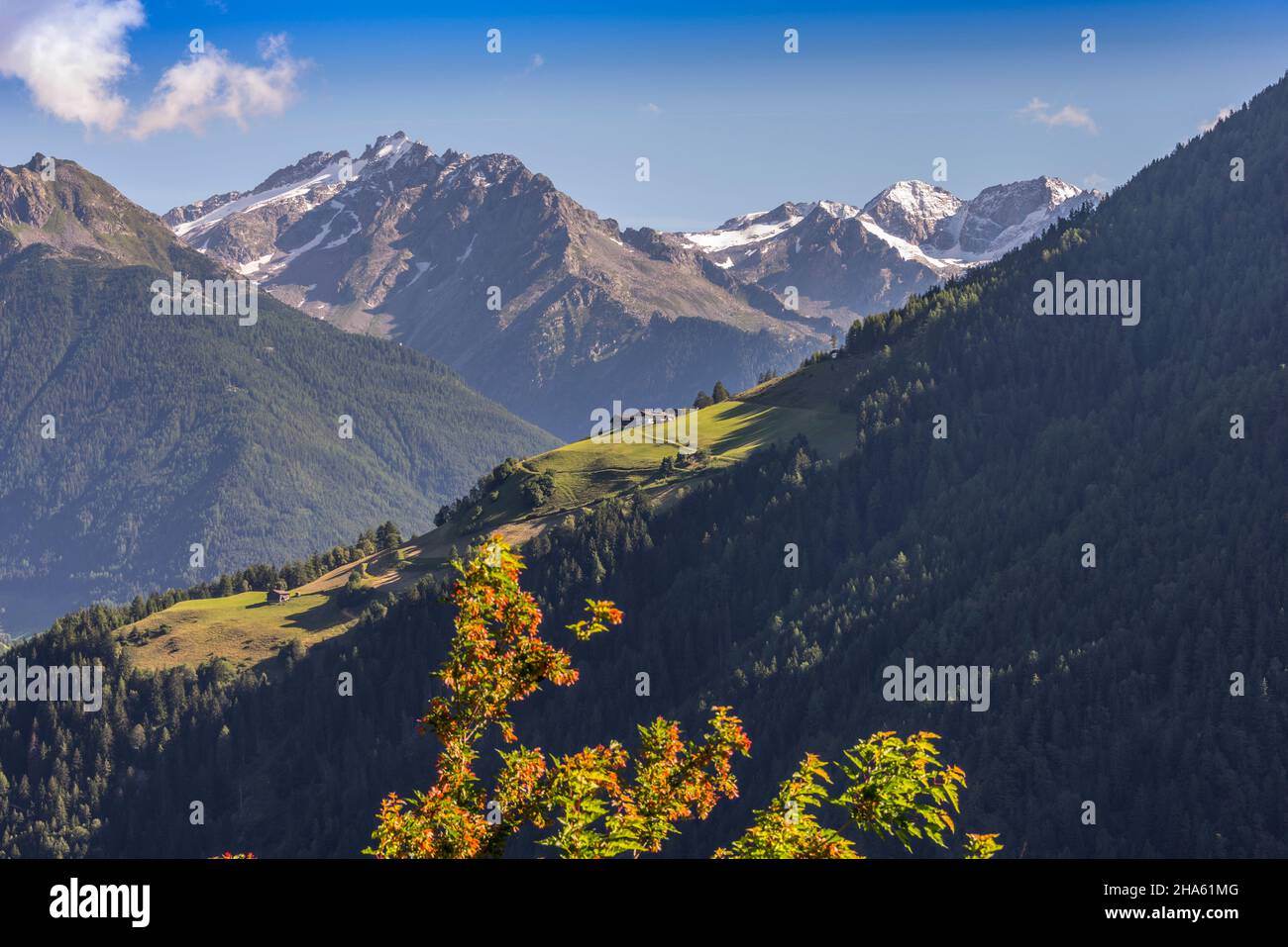 italy,south tyrol,trentino-alto adige,alto adige,pustertal,ahrntal,sand ...