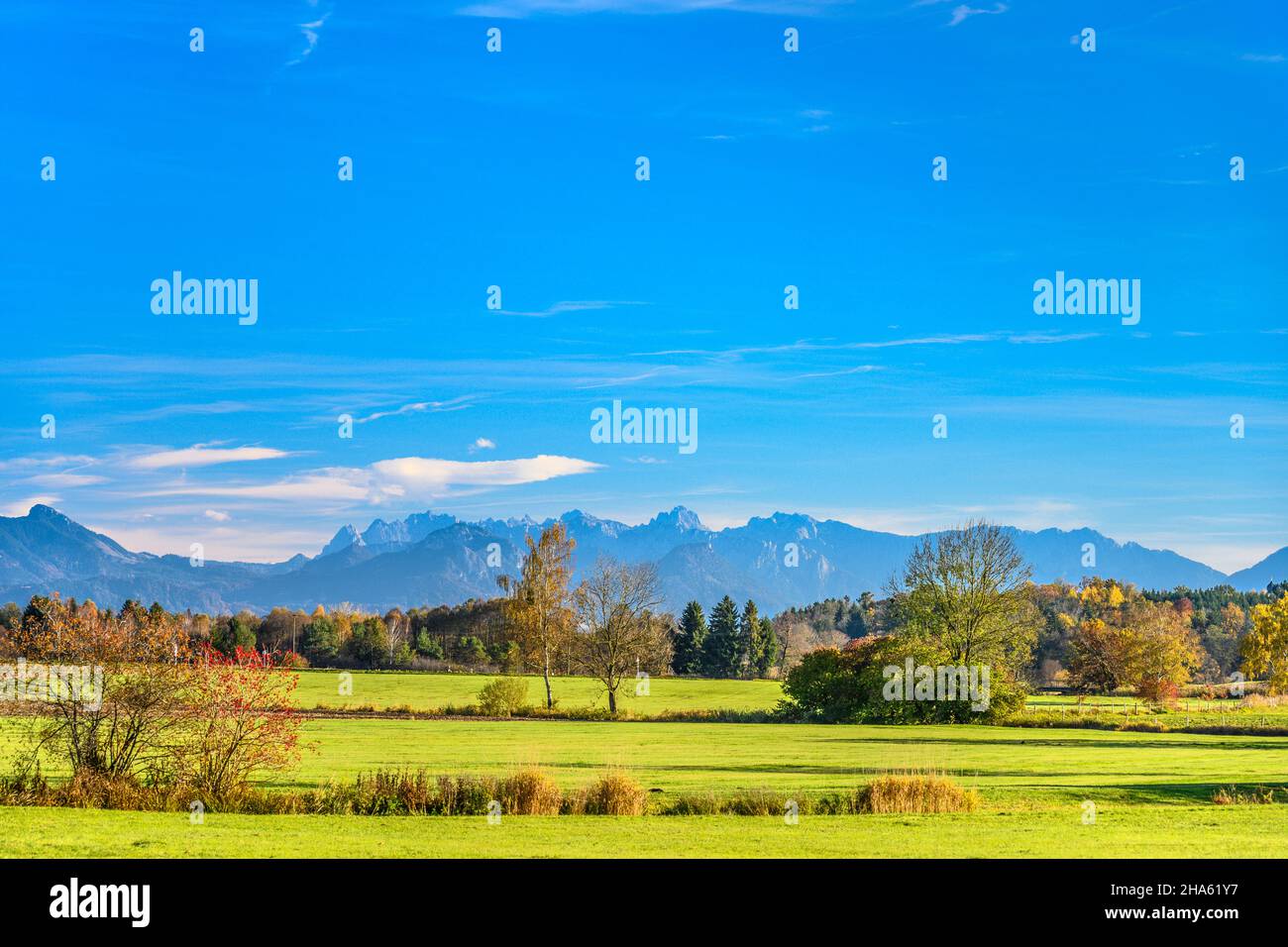germany,bavaria,upper bavaria,district of rosenheim,tuntenhausen ...