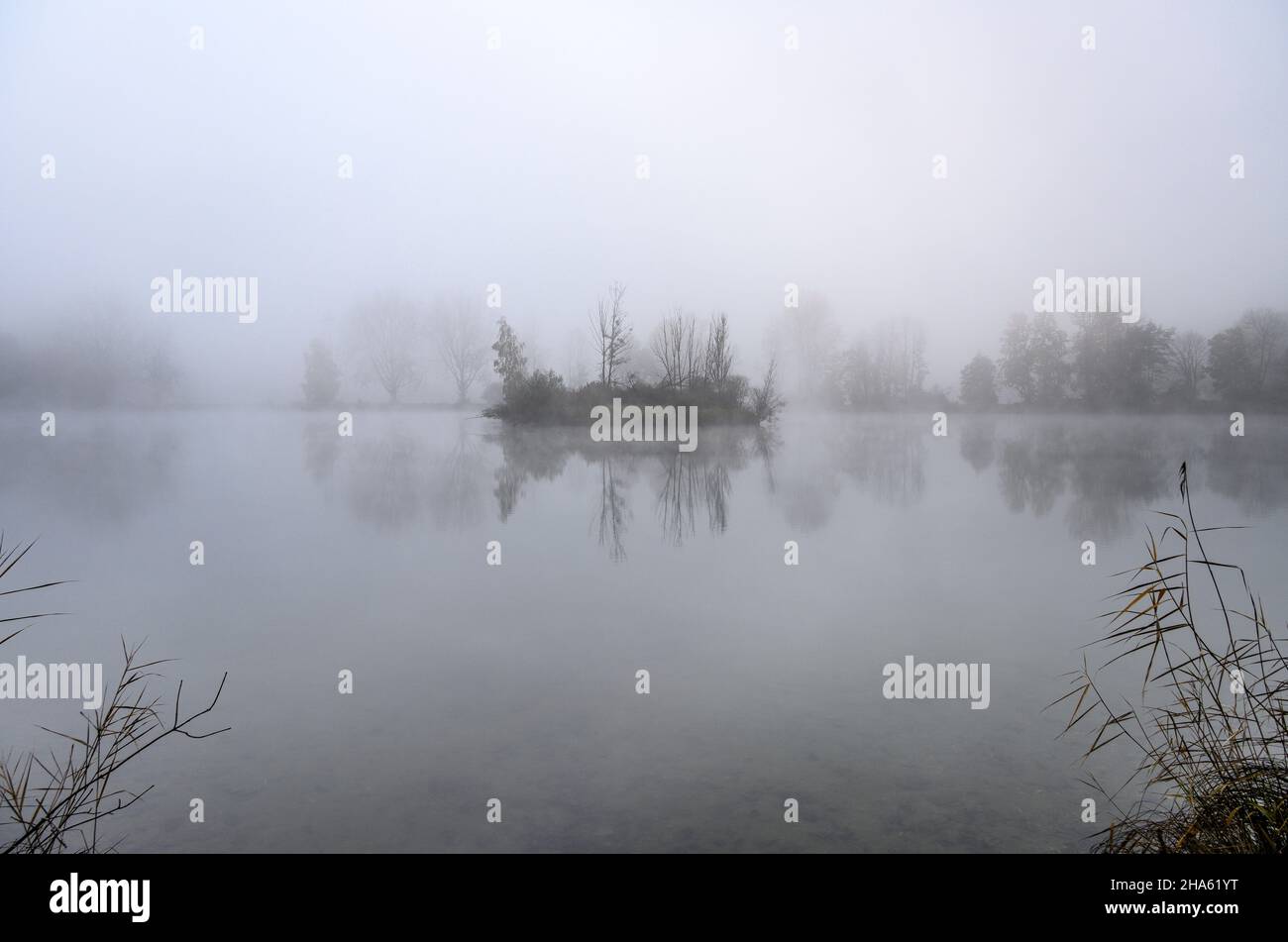 germany,bavaria,upper bavaria,rosenheim district,schechen,erlensee ...