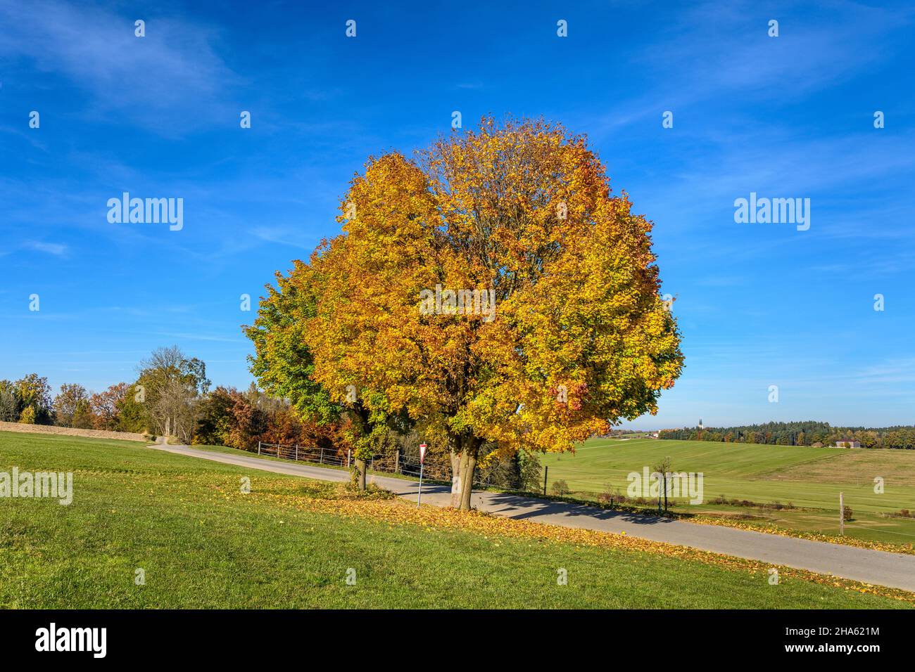 Jakobsberg district hi-res stock photography and images - Alamy