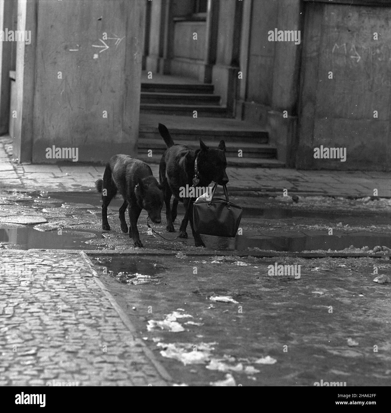 Ul urawia hi-res stock photography and images - Alamy