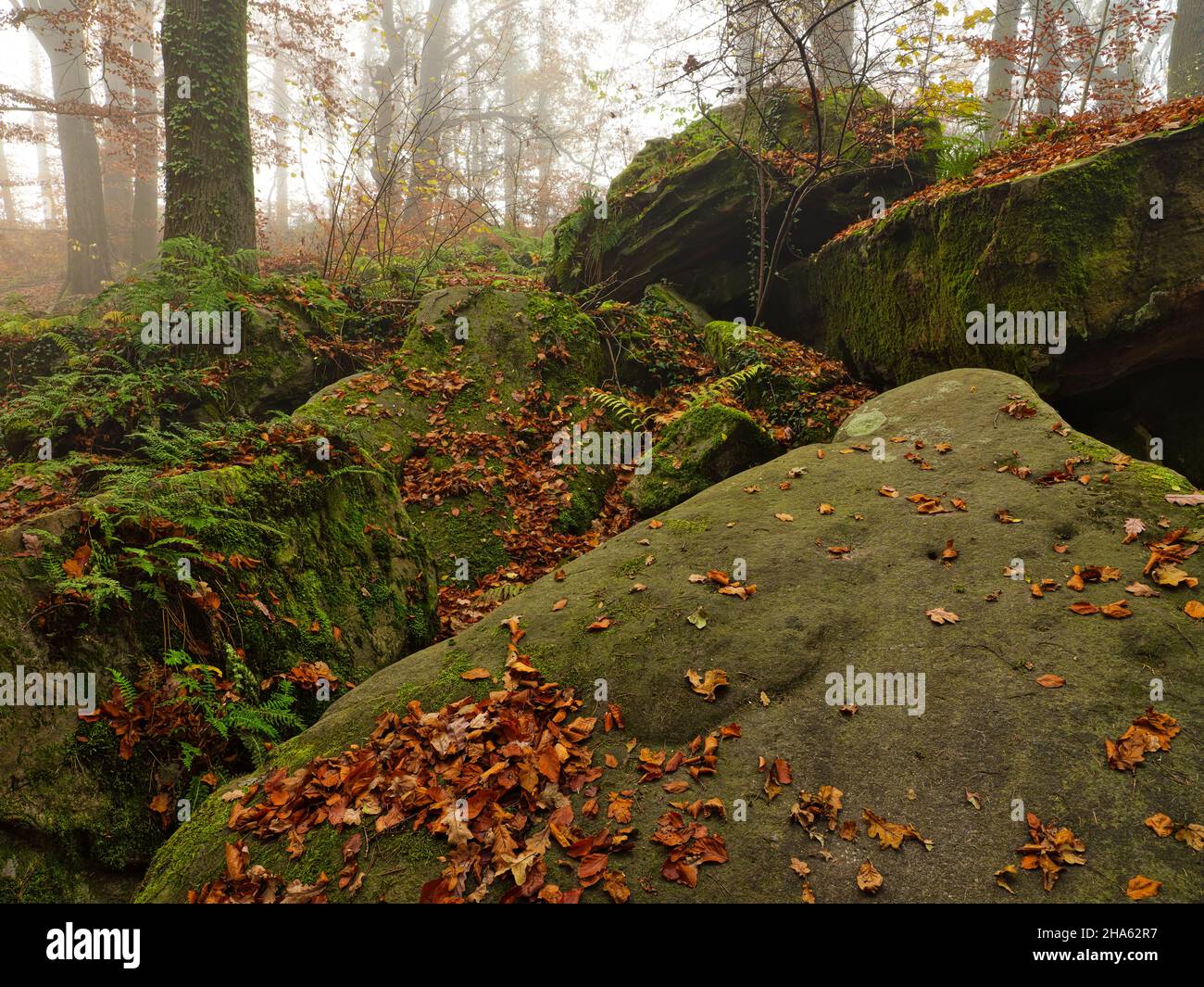 europe,germany,hesse,vogelsberg,geopark volcanic region vogelsberg,sea ...