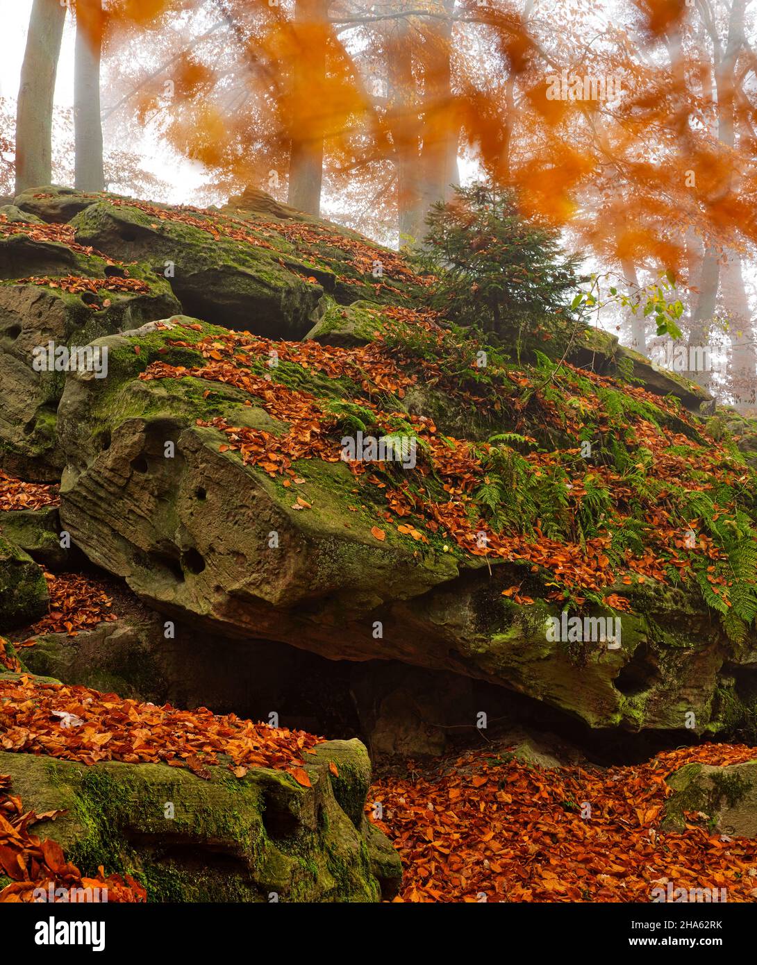 europe,germany,hesse,vogelsberg,geopark volcanic region vogelsberg,sea ...