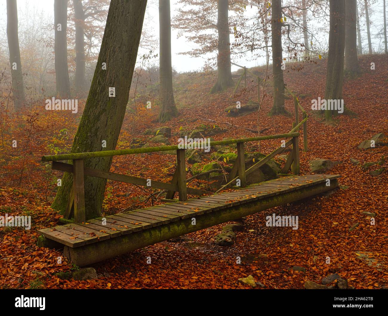 europe,germany,hesse,vogelsberg,geopark volcanic region vogelsberg,sea ...