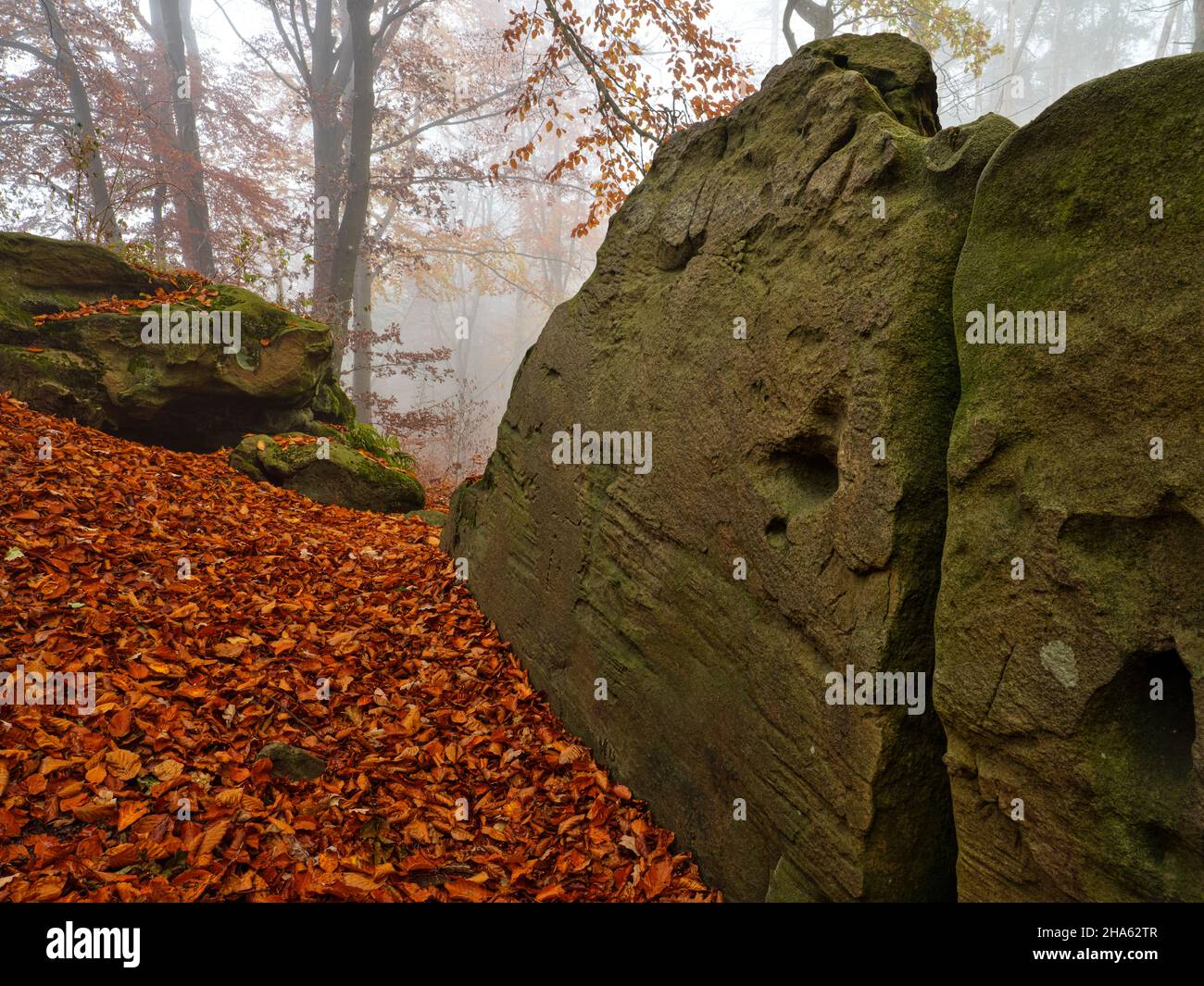 europe,germany,hesse,vogelsberg,geopark volcanic region vogelsberg,sea ...