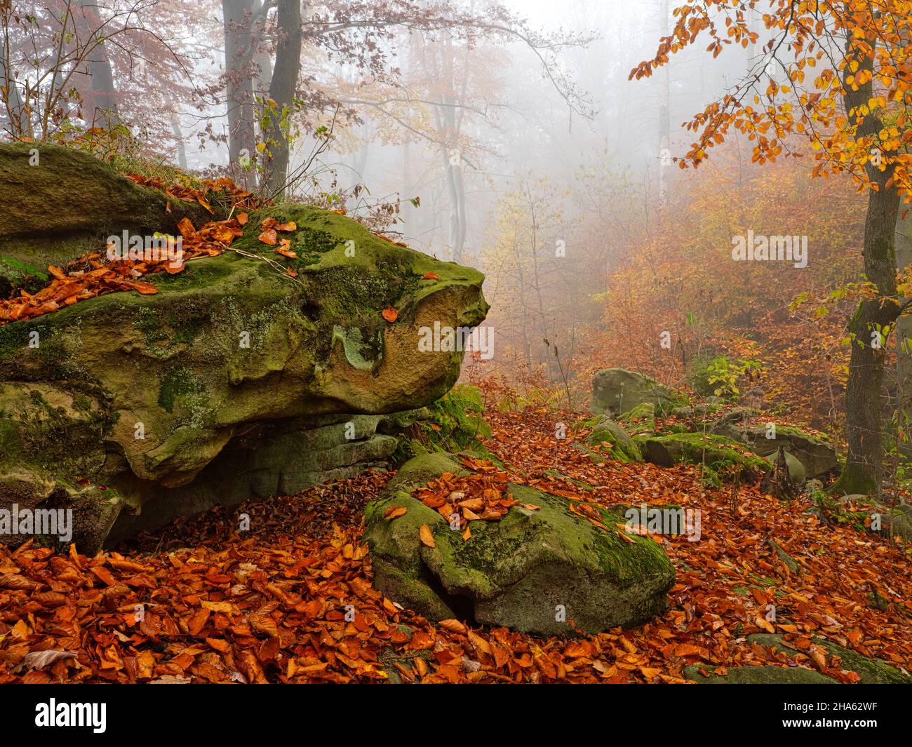 europe,germany,hesse,vogelsberg,geopark volcanic region vogelsberg,sea ...