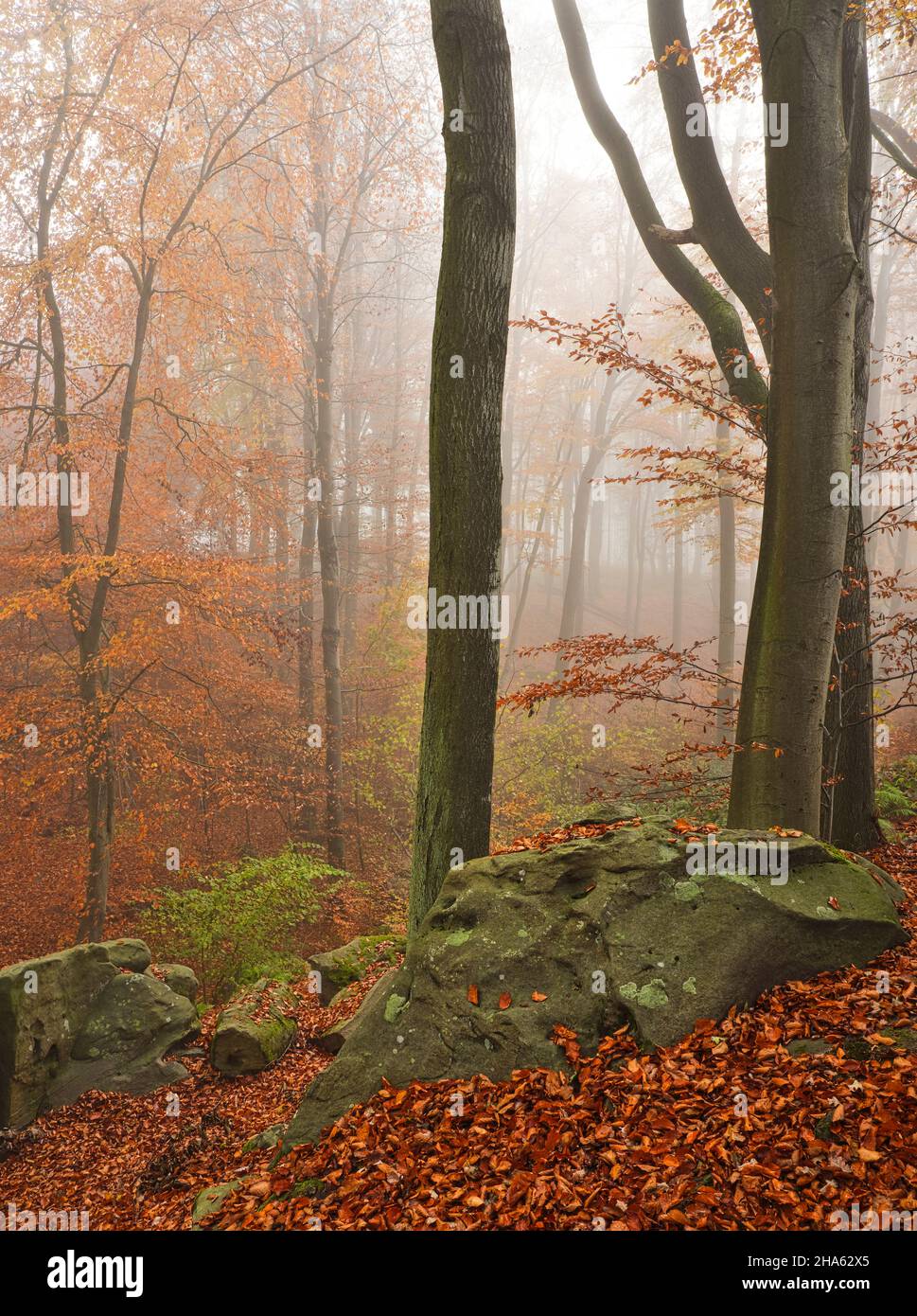 europe,germany,hesse,vogelsberg,geopark volcanic region vogelsberg,sea ...