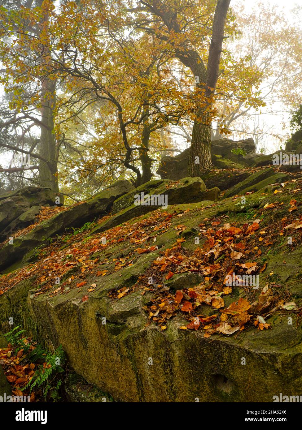 europe,germany,hesse,vogelsberg,geopark volcanic region vogelsberg,sea ...