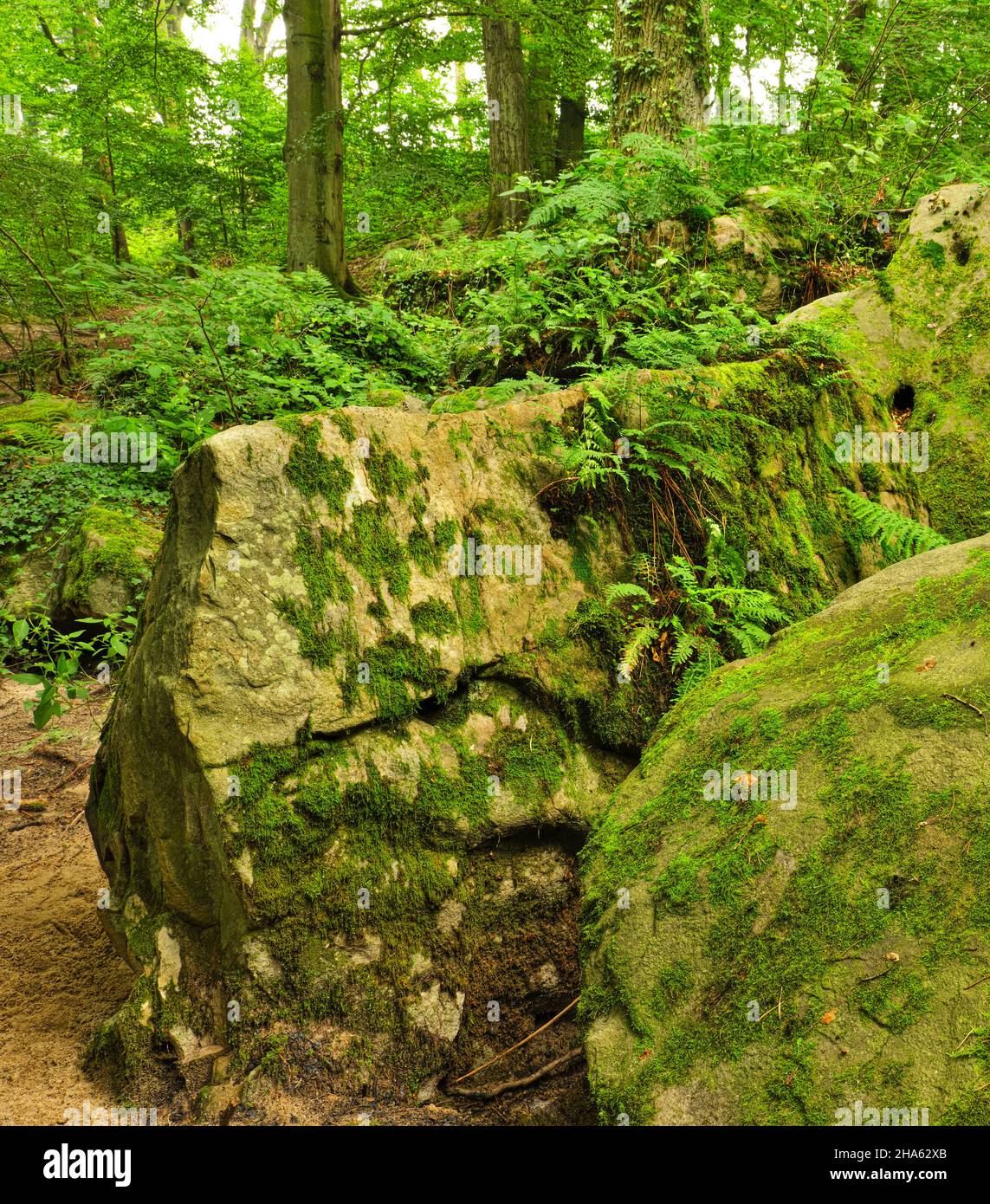 europe,germany,hesse,vogelsberg,geopark volcanic region vogelsberg,sea ...