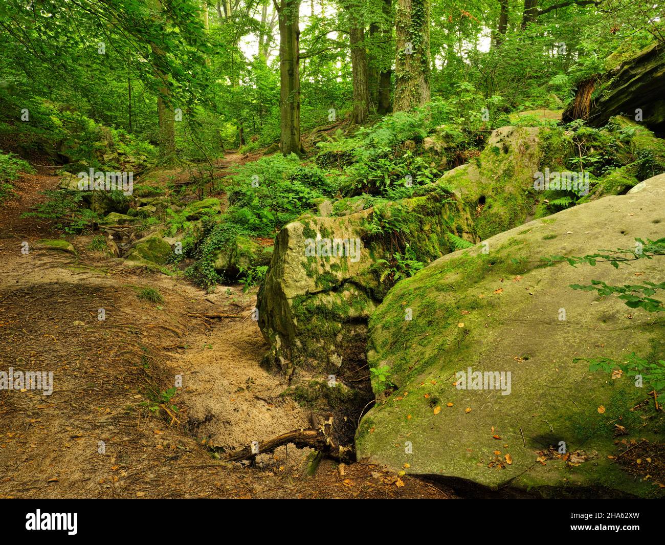 europe,germany,hesse,vogelsberg,geopark volcanic region vogelsberg,sea ...