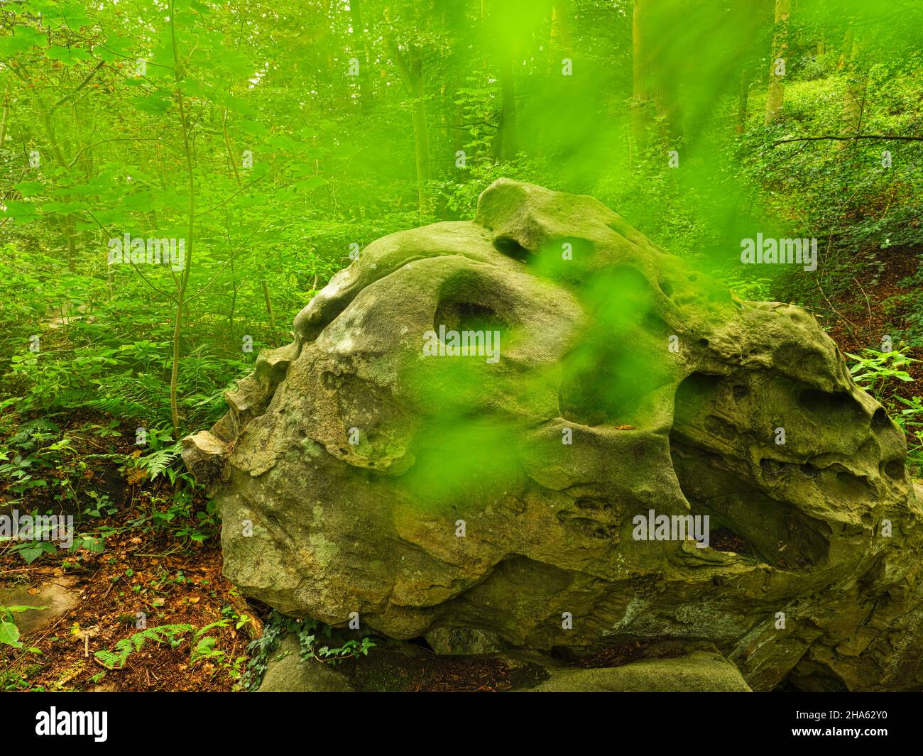 europe,germany,hesse,vogelsberg,geopark volcanic region vogelsberg,sea ...