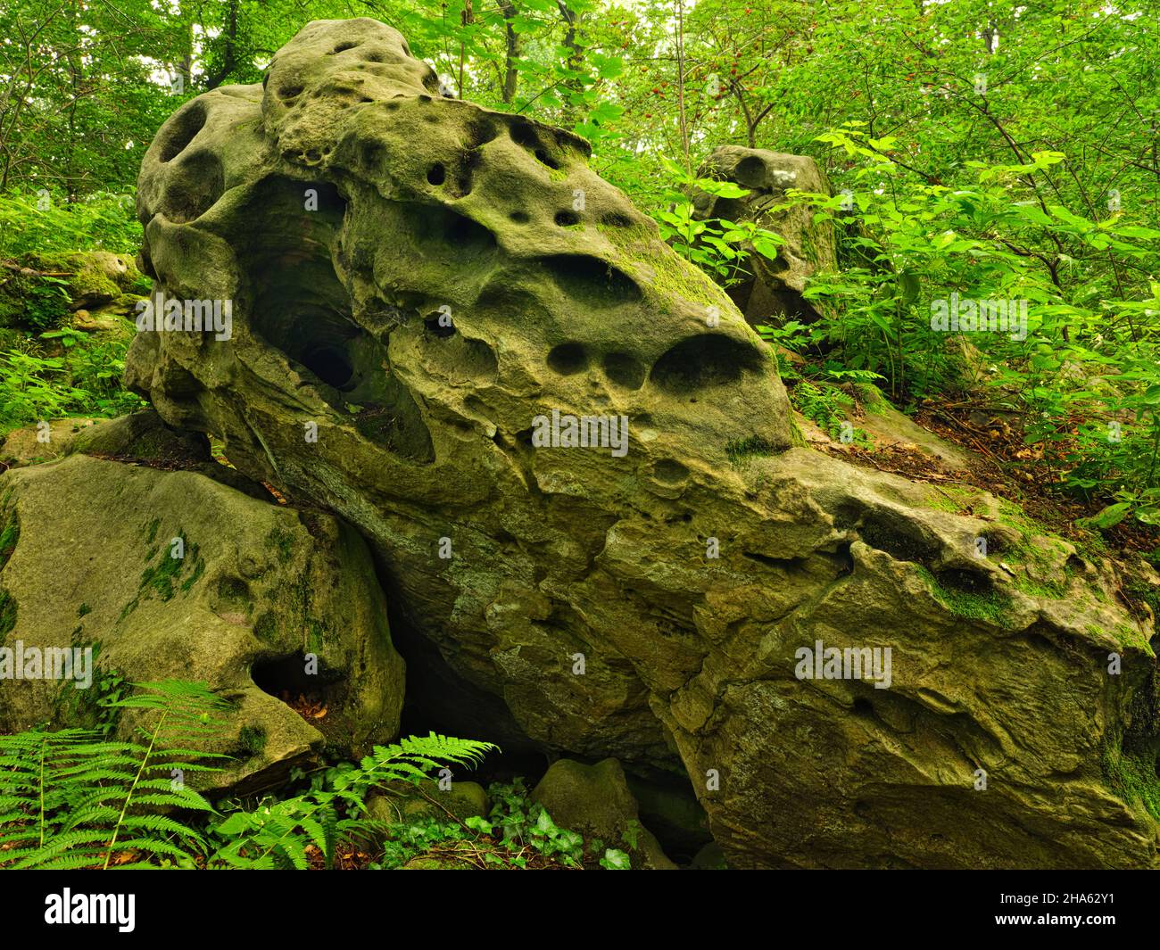 europe,germany,hesse,vogelsberg,geopark volcanic region vogelsberg,sea ...