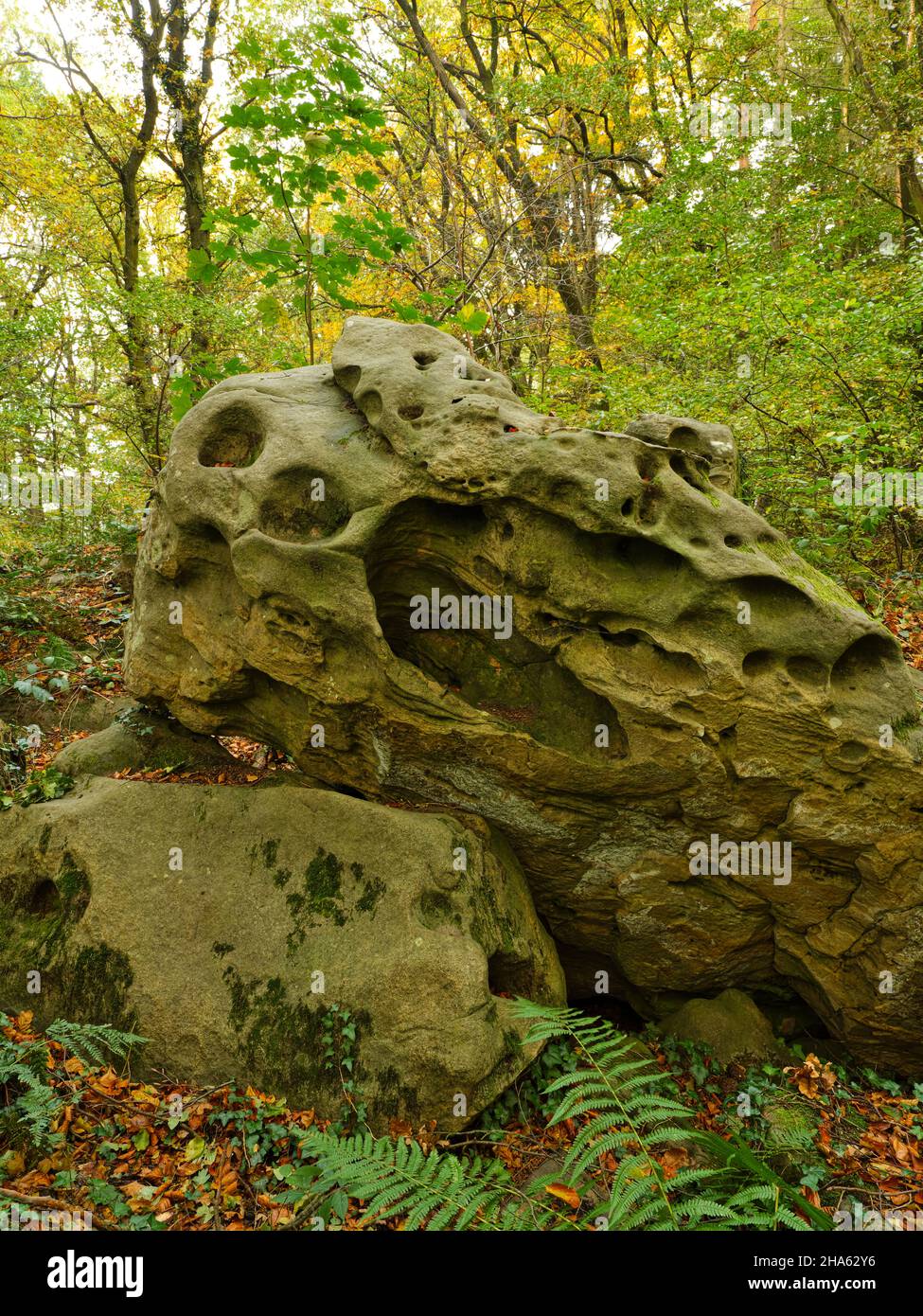 europe,germany,hesse,vogelsberg,geopark volcanic region vogelsberg,sea ...