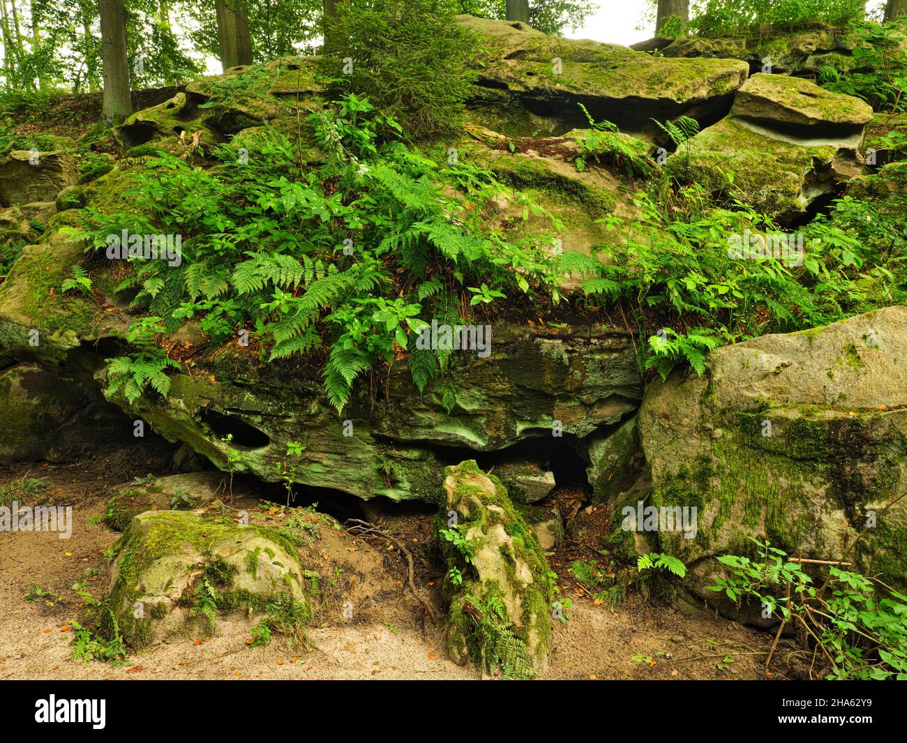 europe,germany,hesse,vogelsberg,geopark volcanic region vogelsberg,sea ...