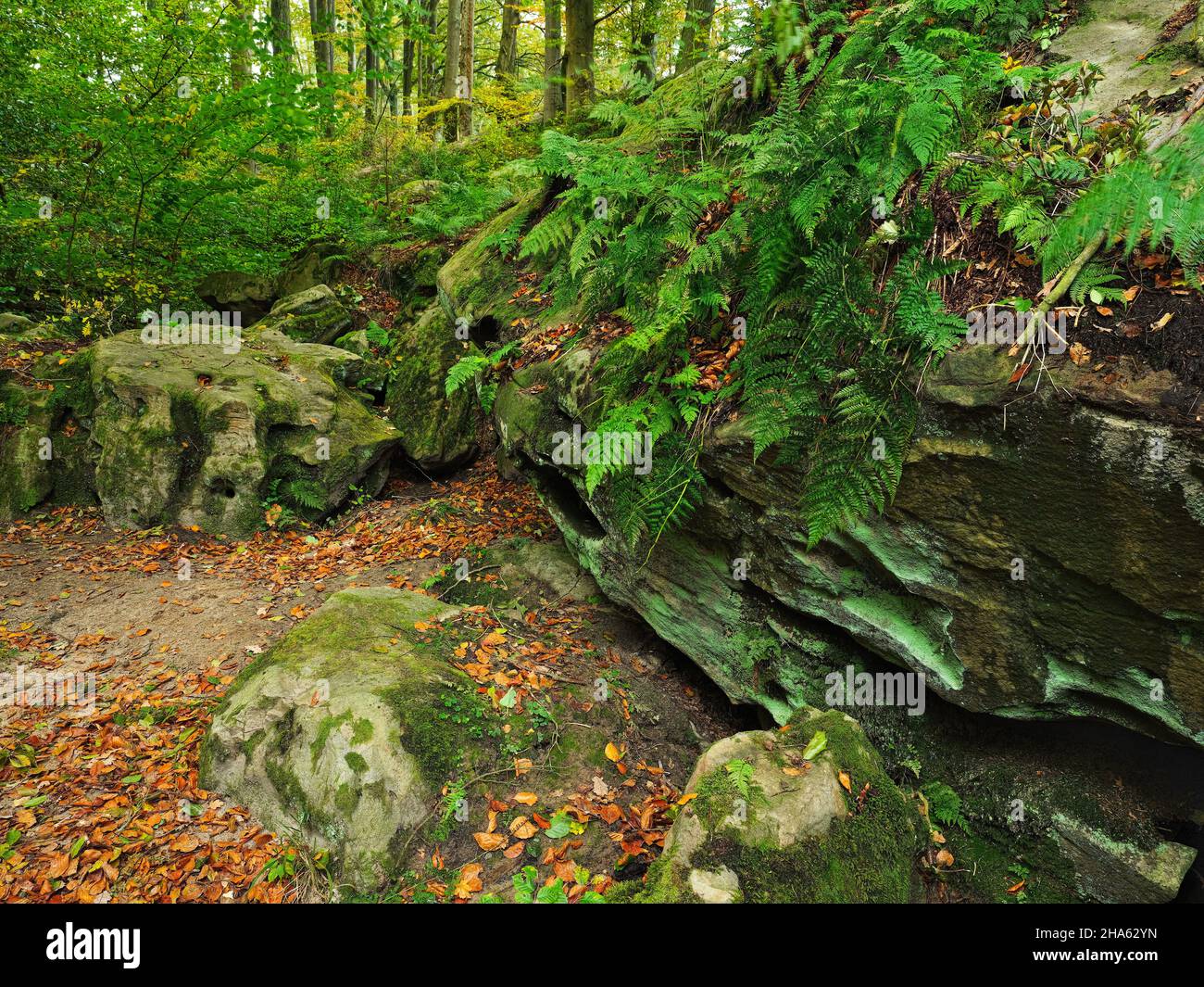 europe,germany,hesse,vogelsberg,geopark volcanic region vogelsberg,sea ...