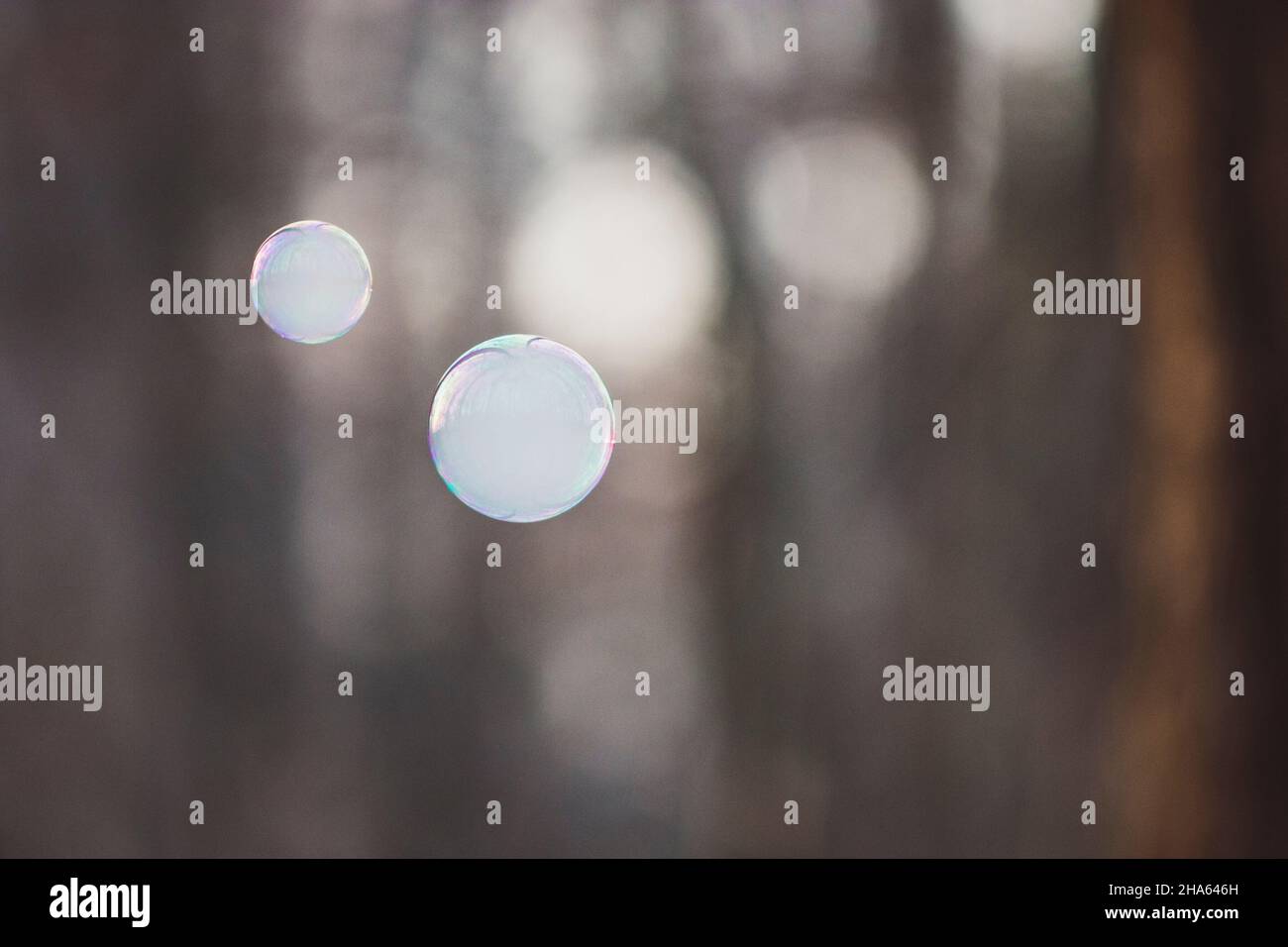 soap bubble with smoke Stock Photo - Alamy