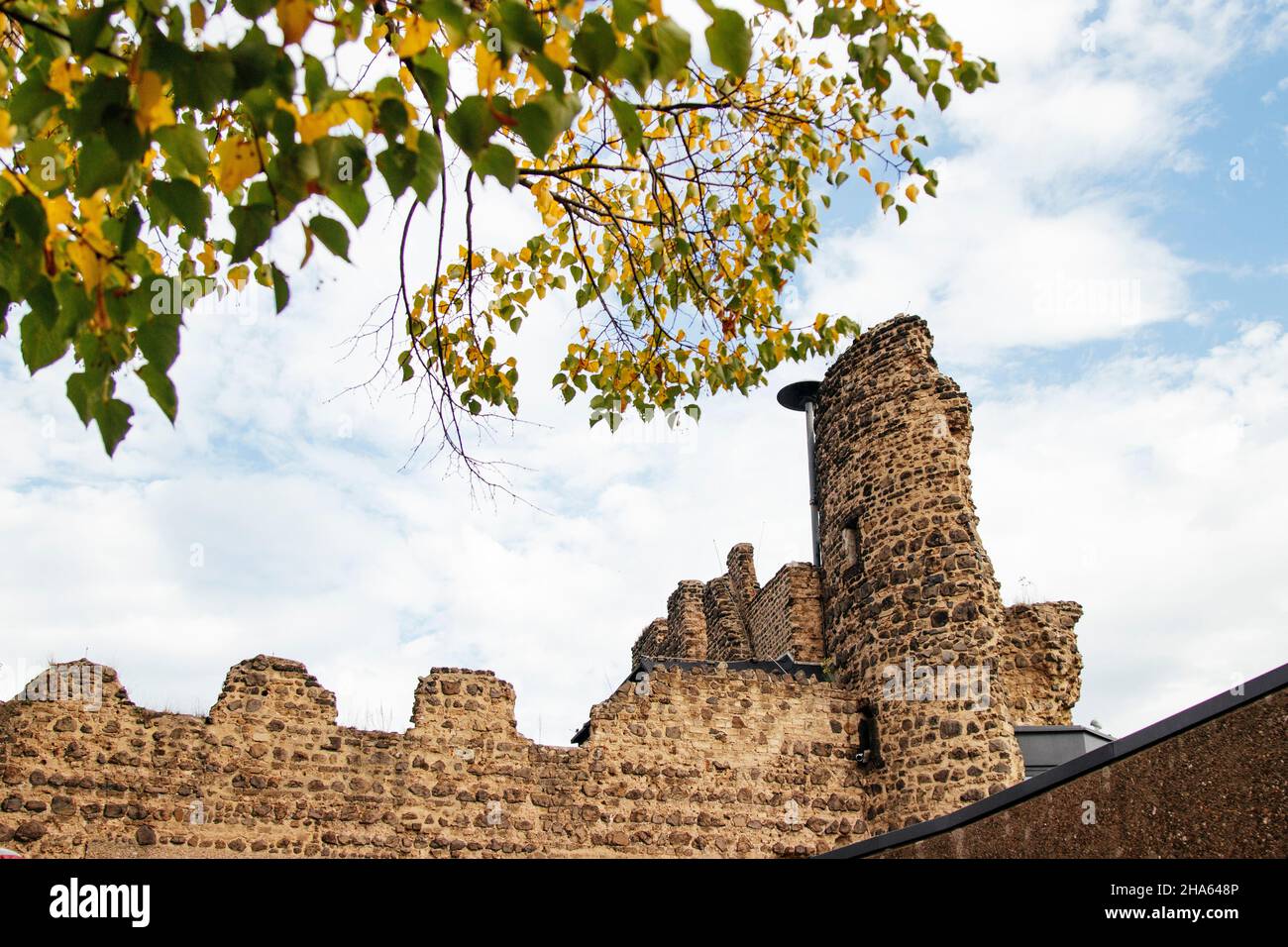 godesburg castle,bad godesberg Stock Photo - Alamy