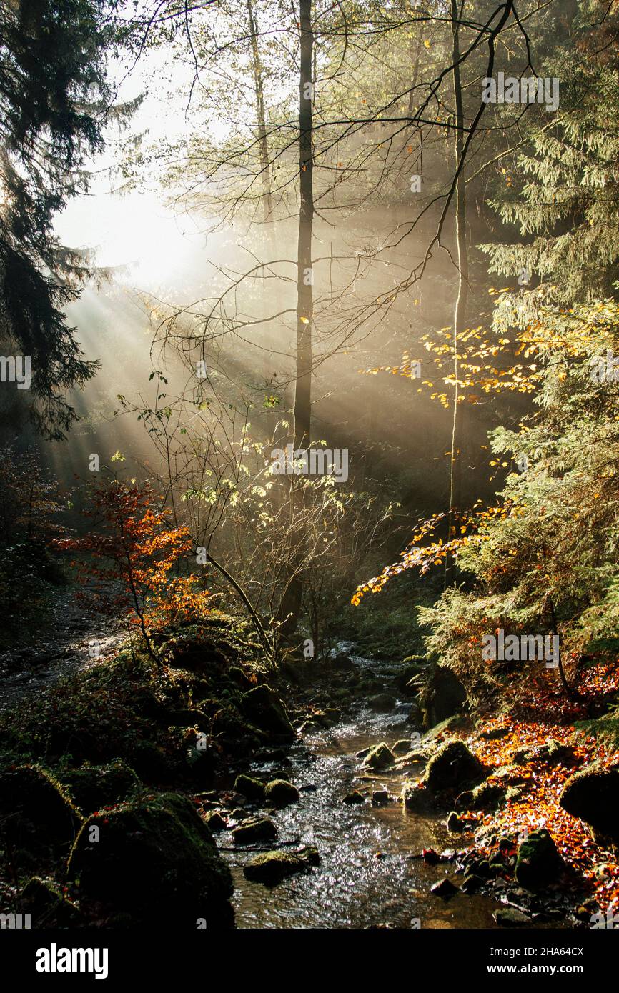 Actinism in water hi-res stock photography and images - Alamy