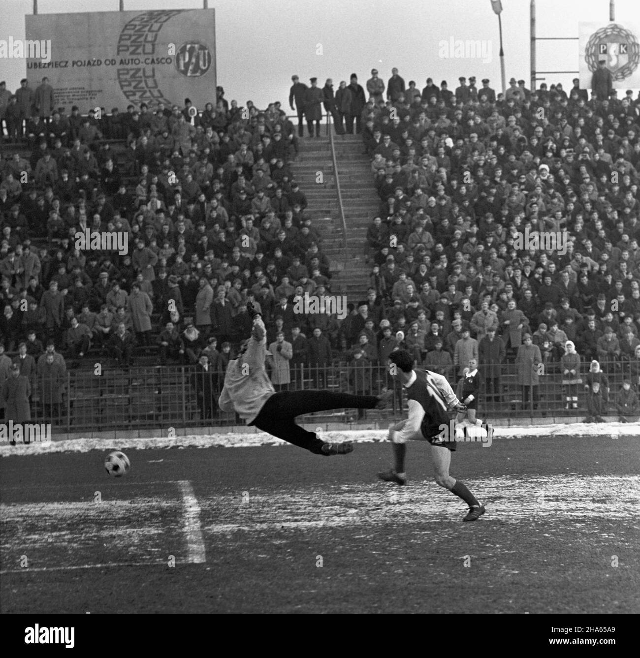 Broniae hi-res stock photography and images - Alamy