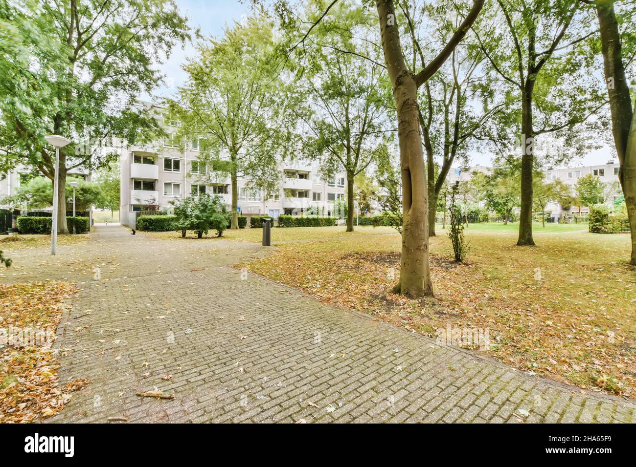 Superb courtyard with beautifully laid paths and trees Stock Photo - Alamy