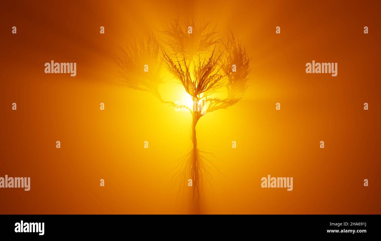 Silhouette of growing tree in a shape of a human brain. Sun rays ...
