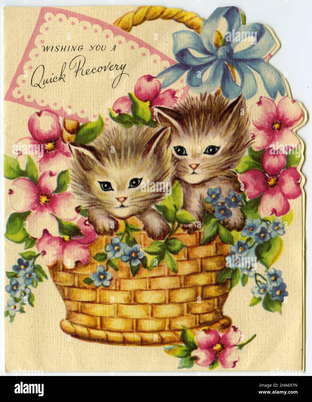 Get Well Soon Kitten