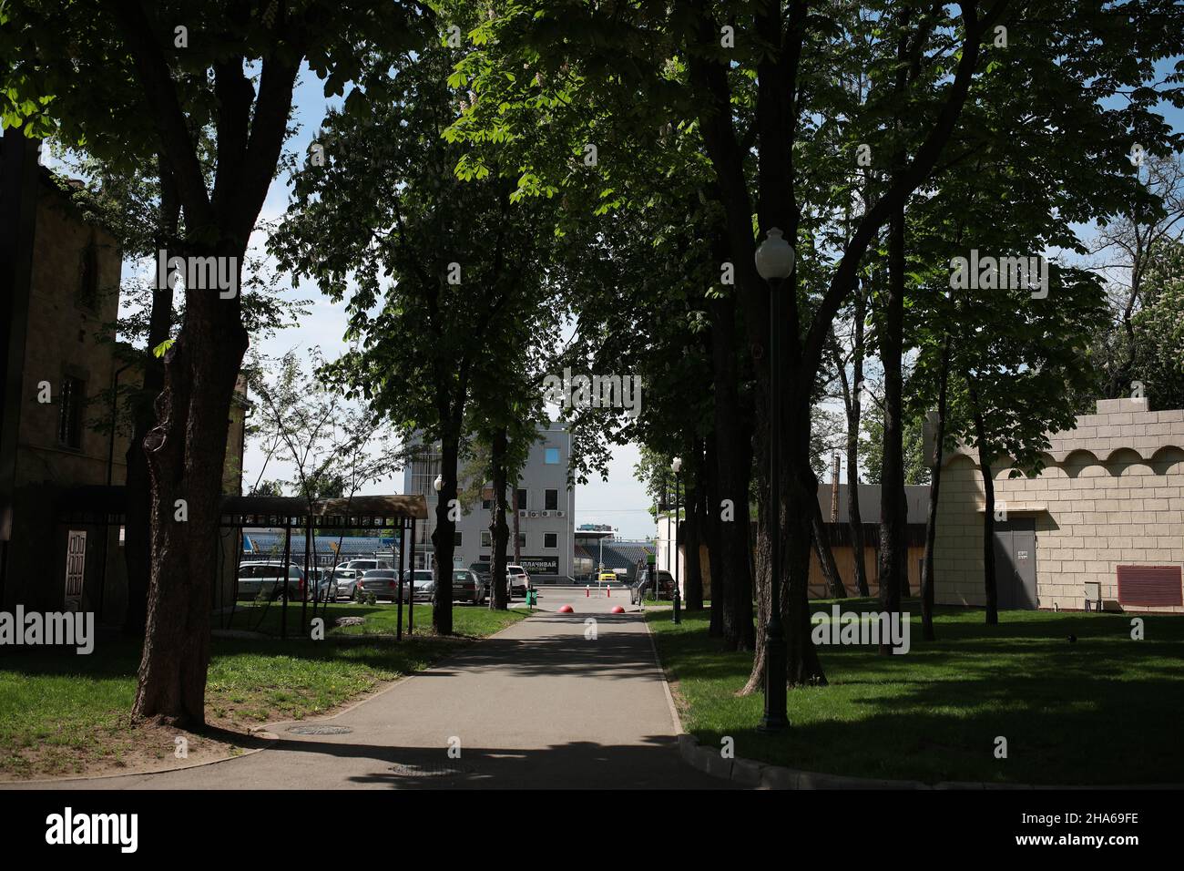beautiful large green park with many trees and flora Stock Photo - Alamy