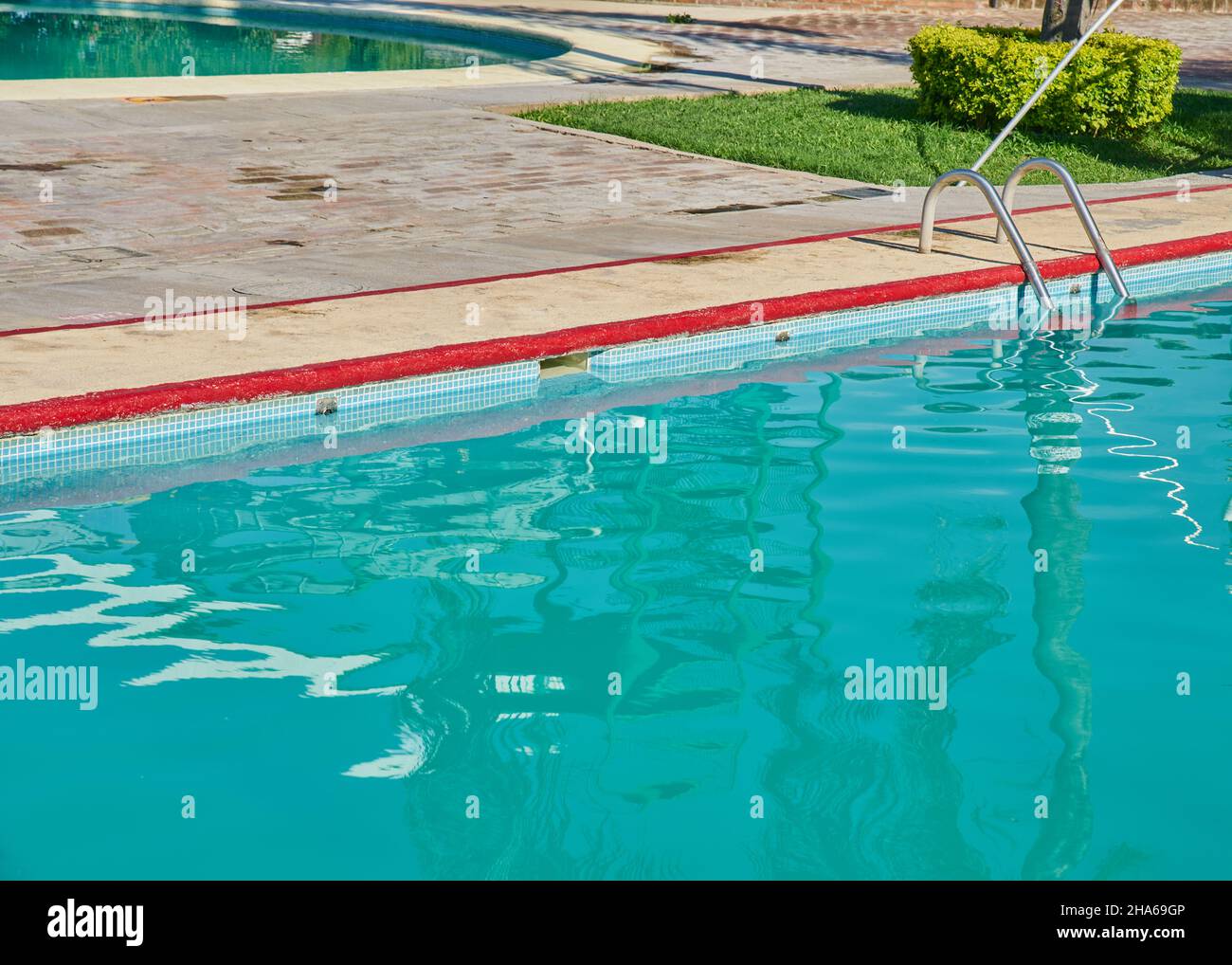 Swimming pool for relaxing time and a bush nearby Stock Photo - Alamy