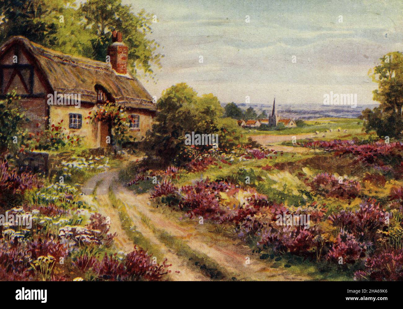 an english cottage in the countryside Stock Photo - Alamy