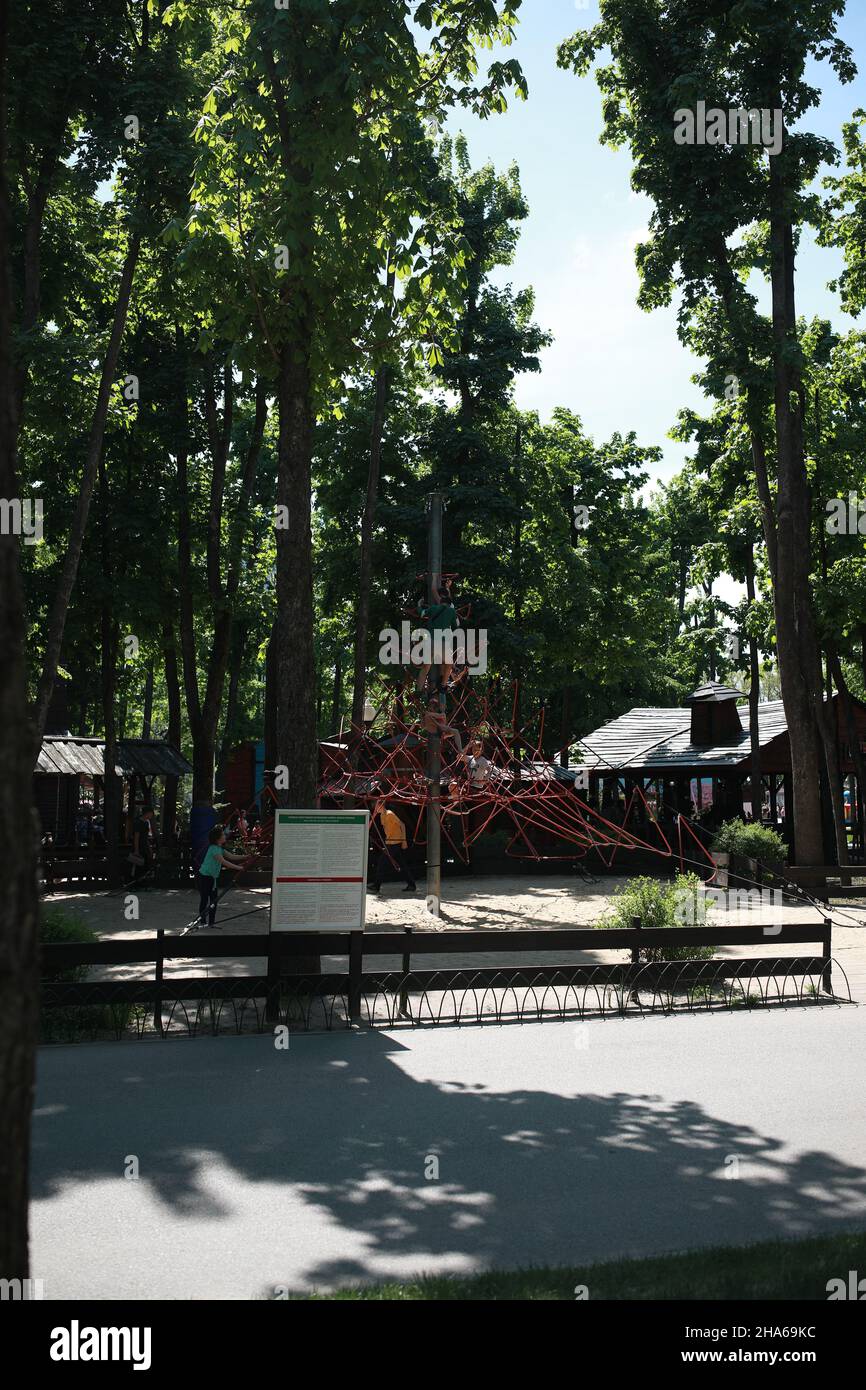 beautiful large green park with many trees and flora Stock Photo - Alamy
