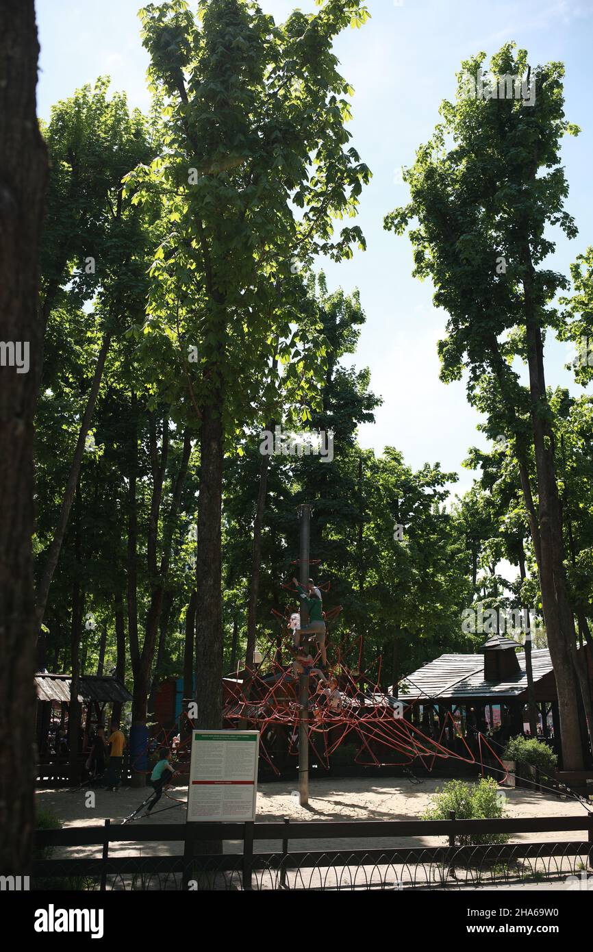 beautiful large green park with many trees and flora Stock Photo - Alamy