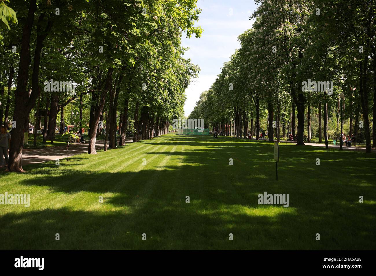 beautiful large green park with many trees and flora Stock Photo - Alamy